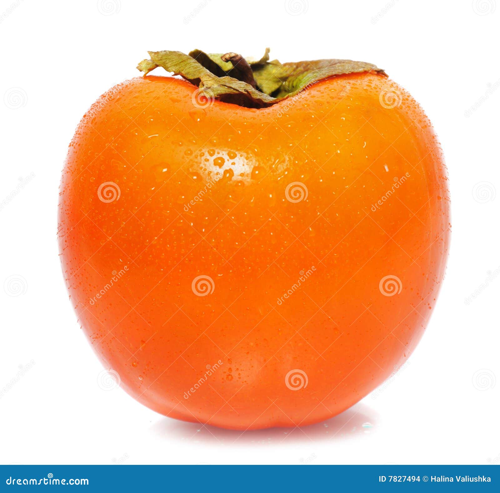 One persimmon stock photo. Image of closeup, background - 7827494