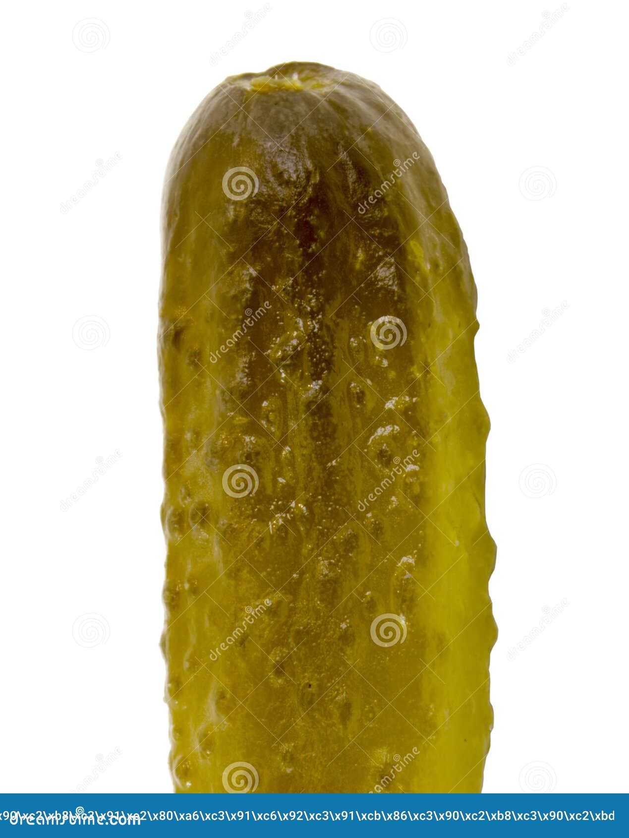 One Pickles Stock Photo - Image: 48276542