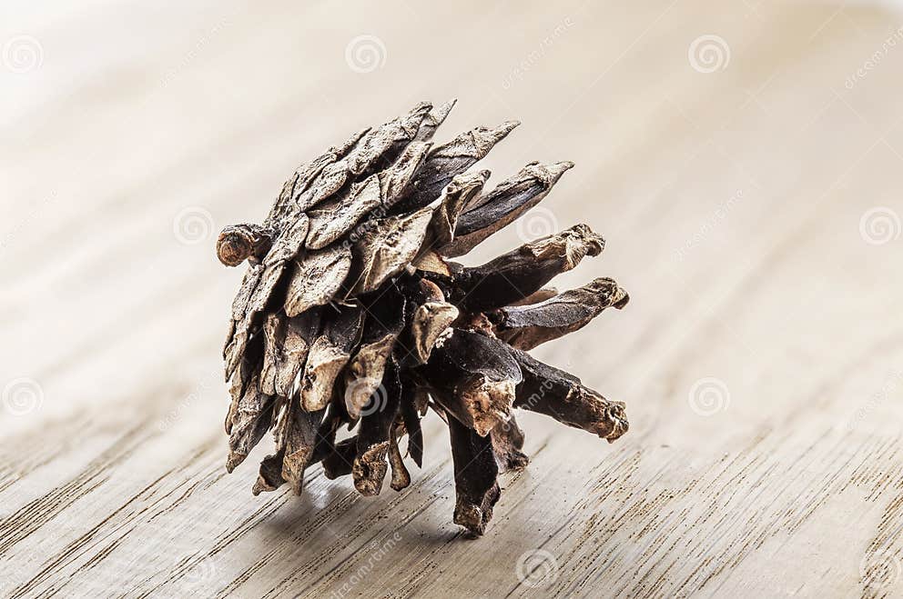 One Pine Cone on a Wooden Background Stock Image - Image of pine ...