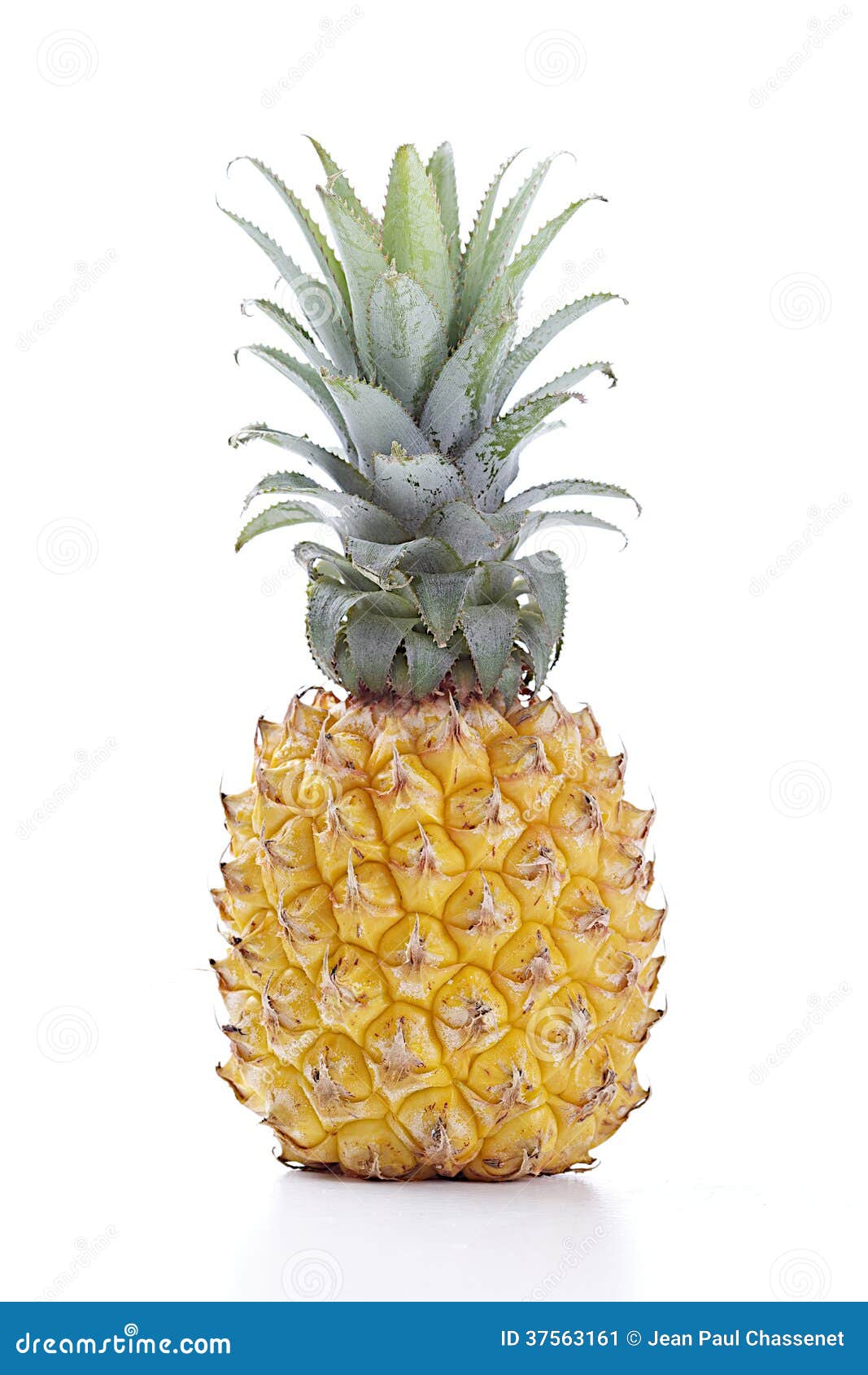 One pineapple stock image. Image of hawaii, color, drink - 37563161