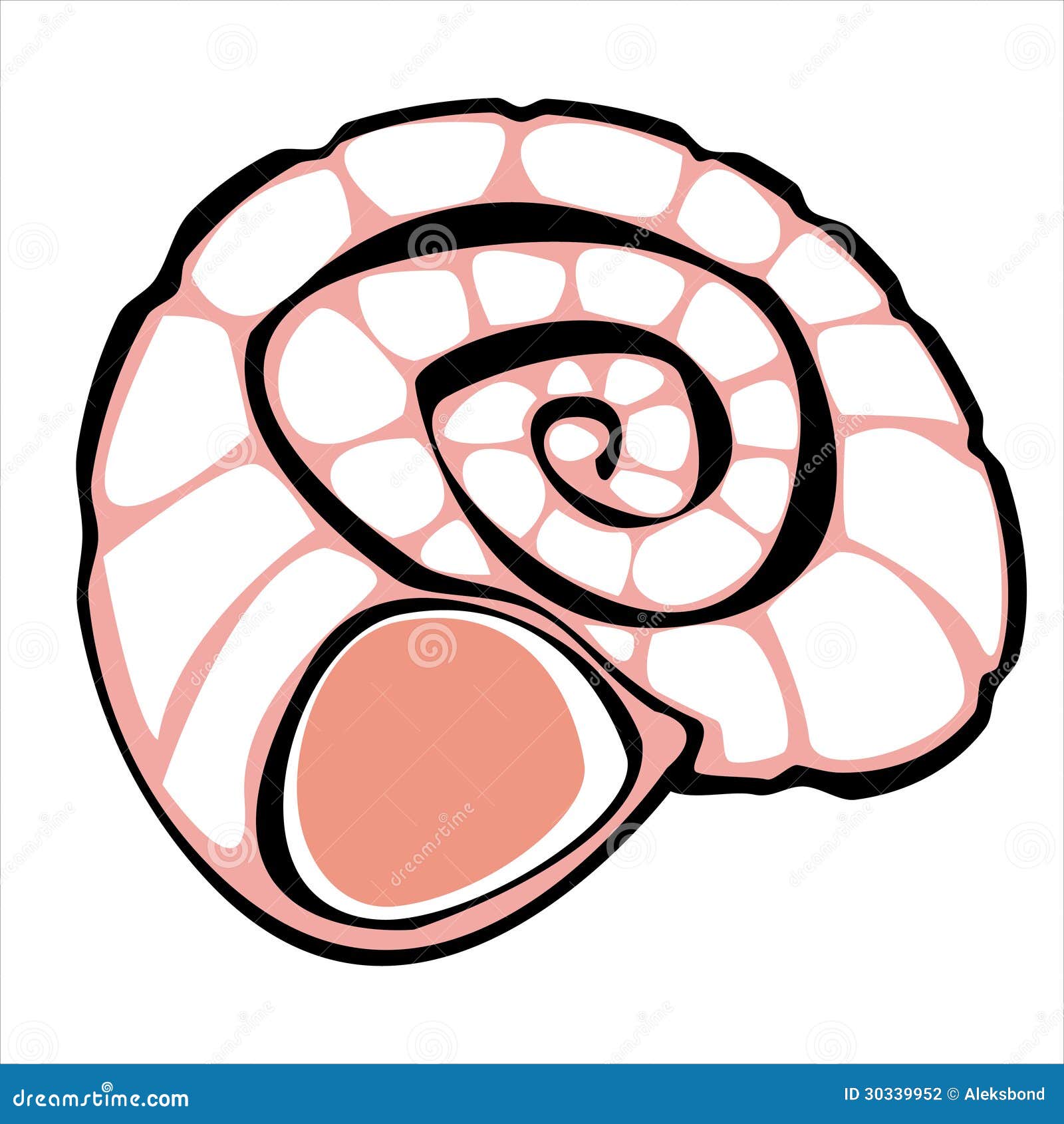 Pink Shell Cartoon | CartoonDealer.com #147140563