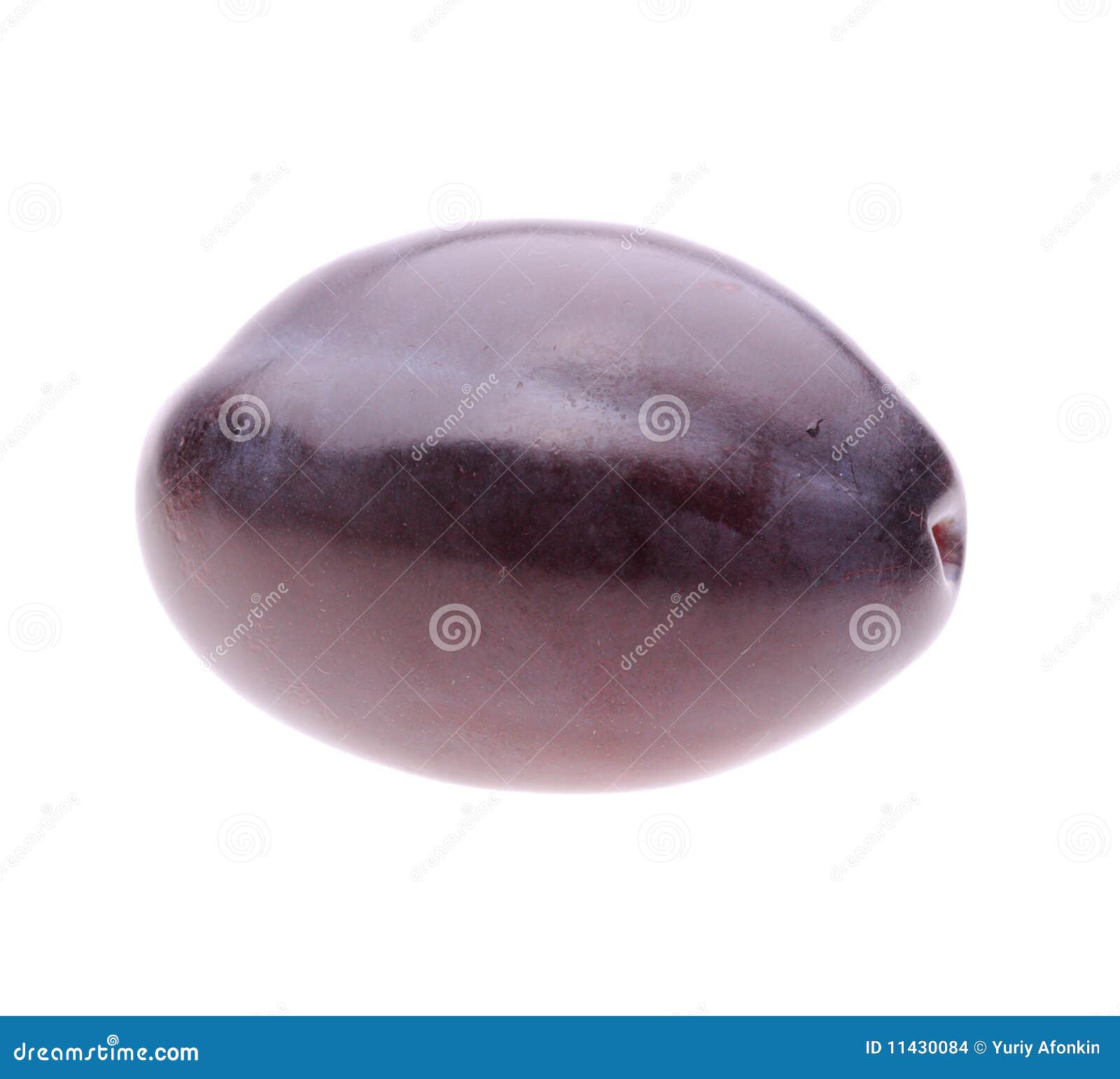 One plum stock photo. Image of freshness, plum, food - 11430084