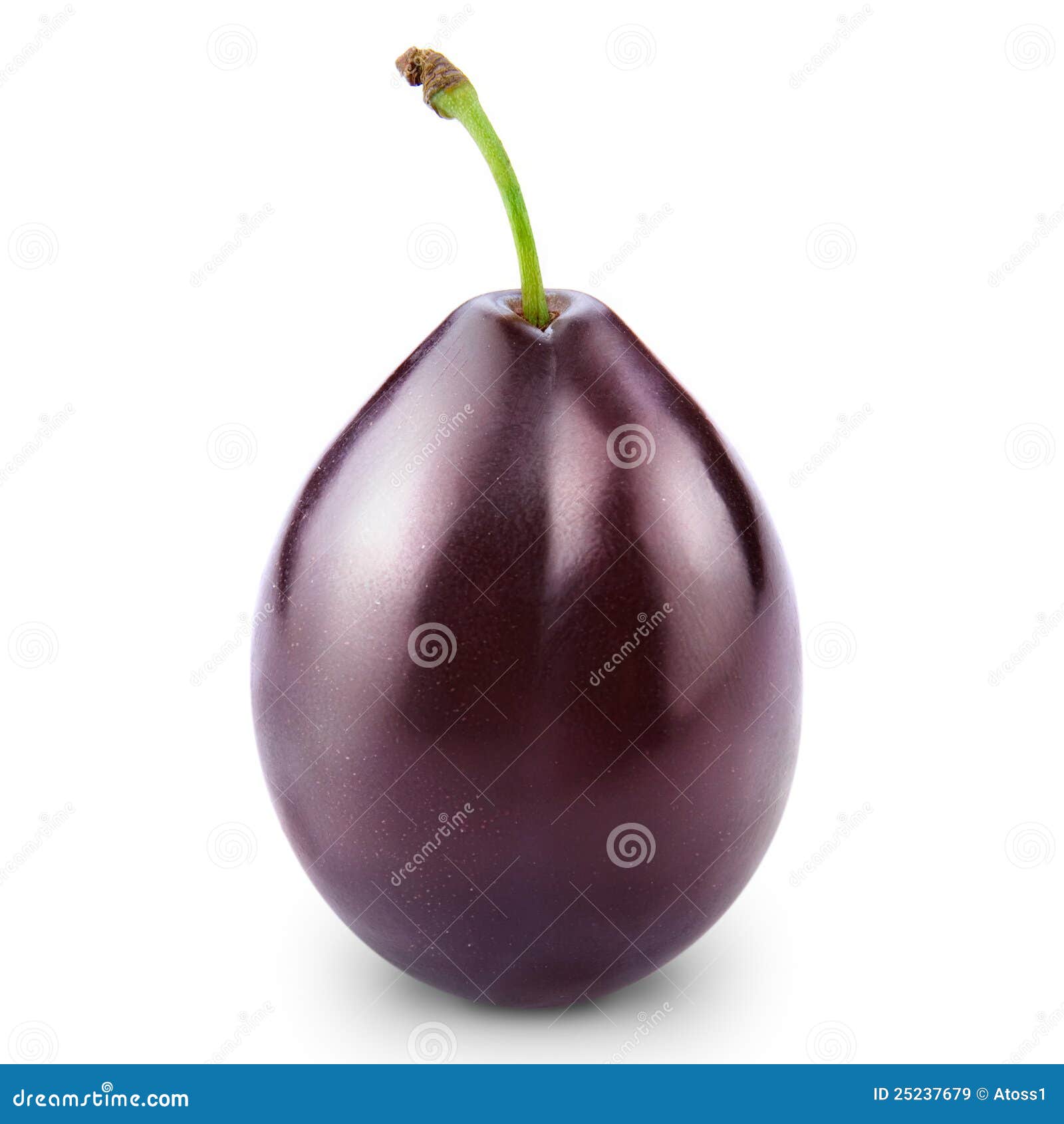 One plum stock image. Image of organic, delicious, leaf - 25237679