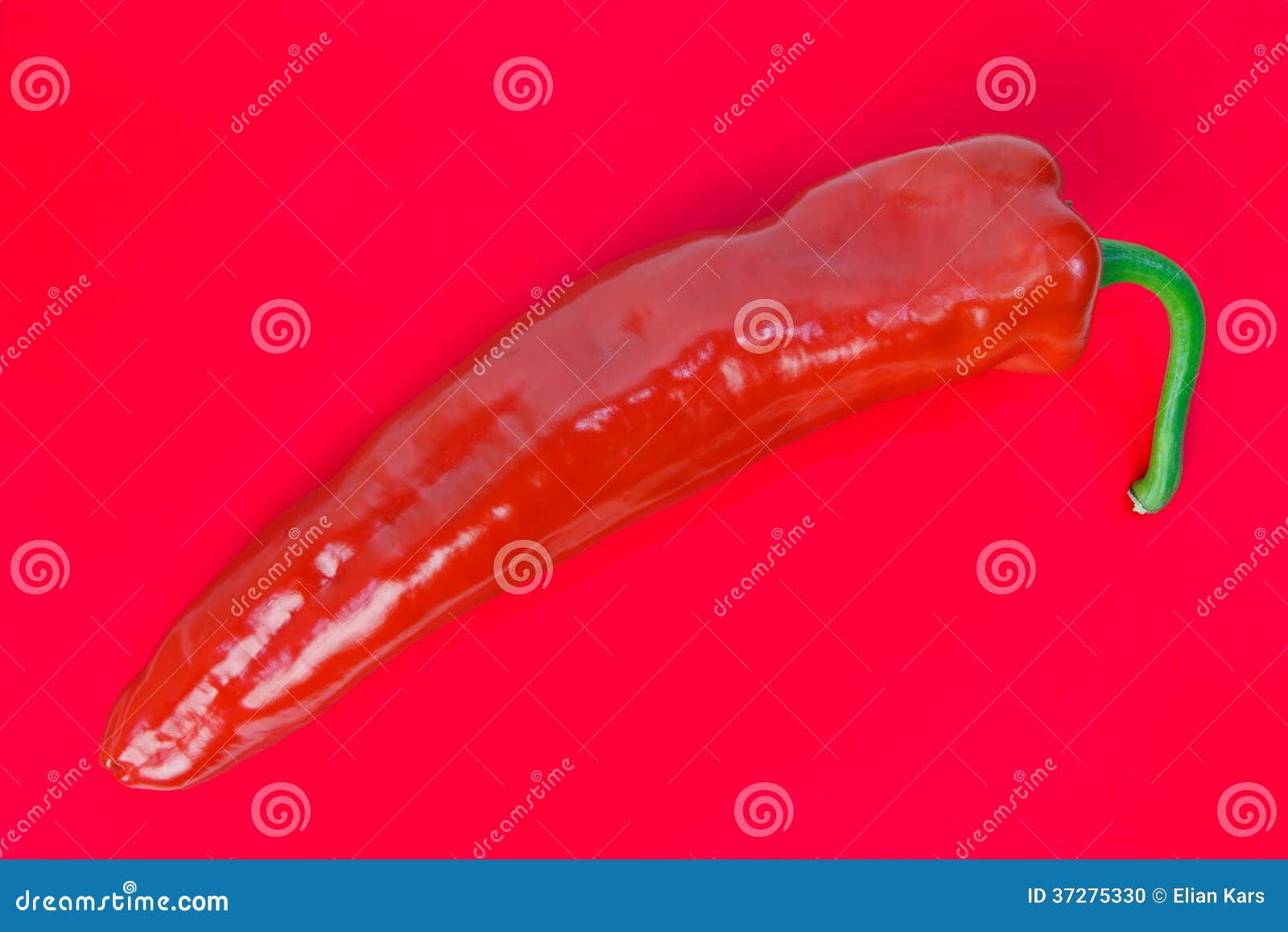 One pointed pepper stock photo. Image of culinary, heat - 37275330