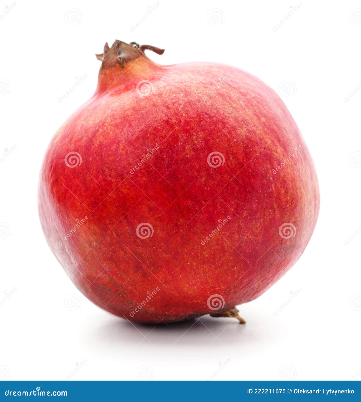 One pomegranate fruit stock image. Image of harvest - 222211675