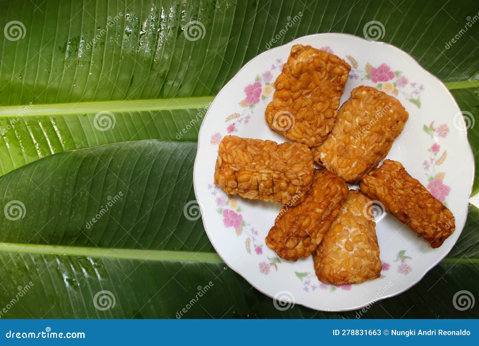 One Portion of Delicious Fried Tempeh Stock Image - Image of cooking ...