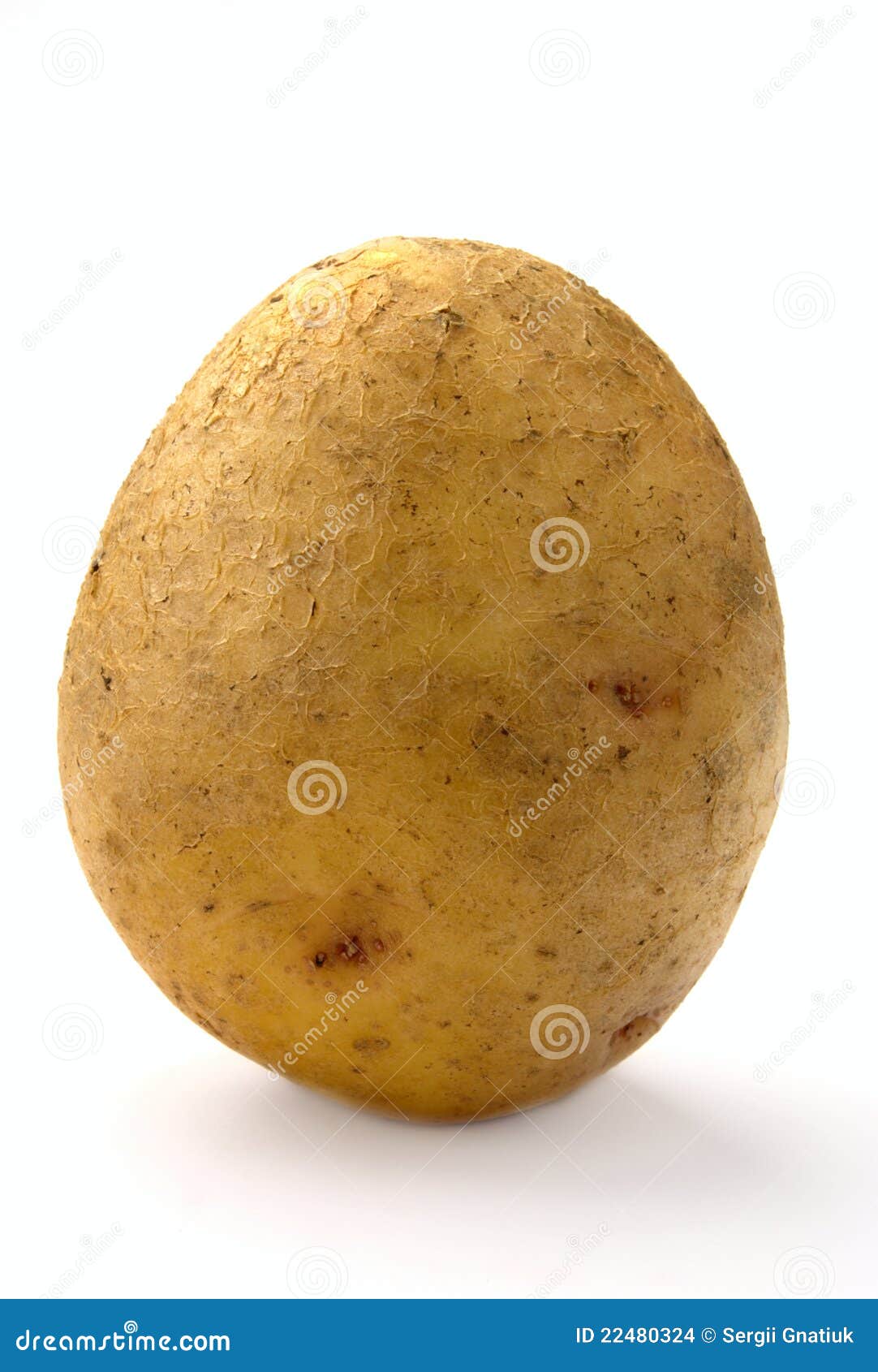 One potato stock photo. Image of objects, eating, potato - 22480324