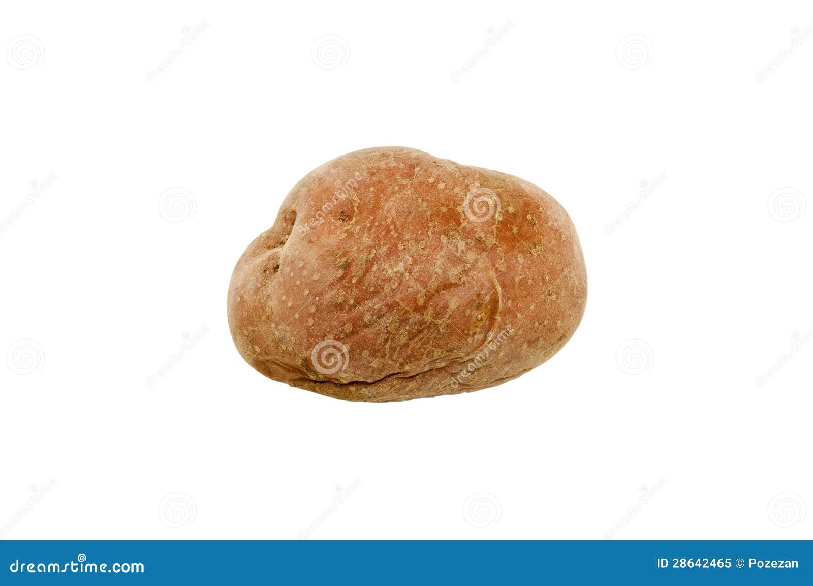 One potato stock image. Image of background, starch, health - 28642465
