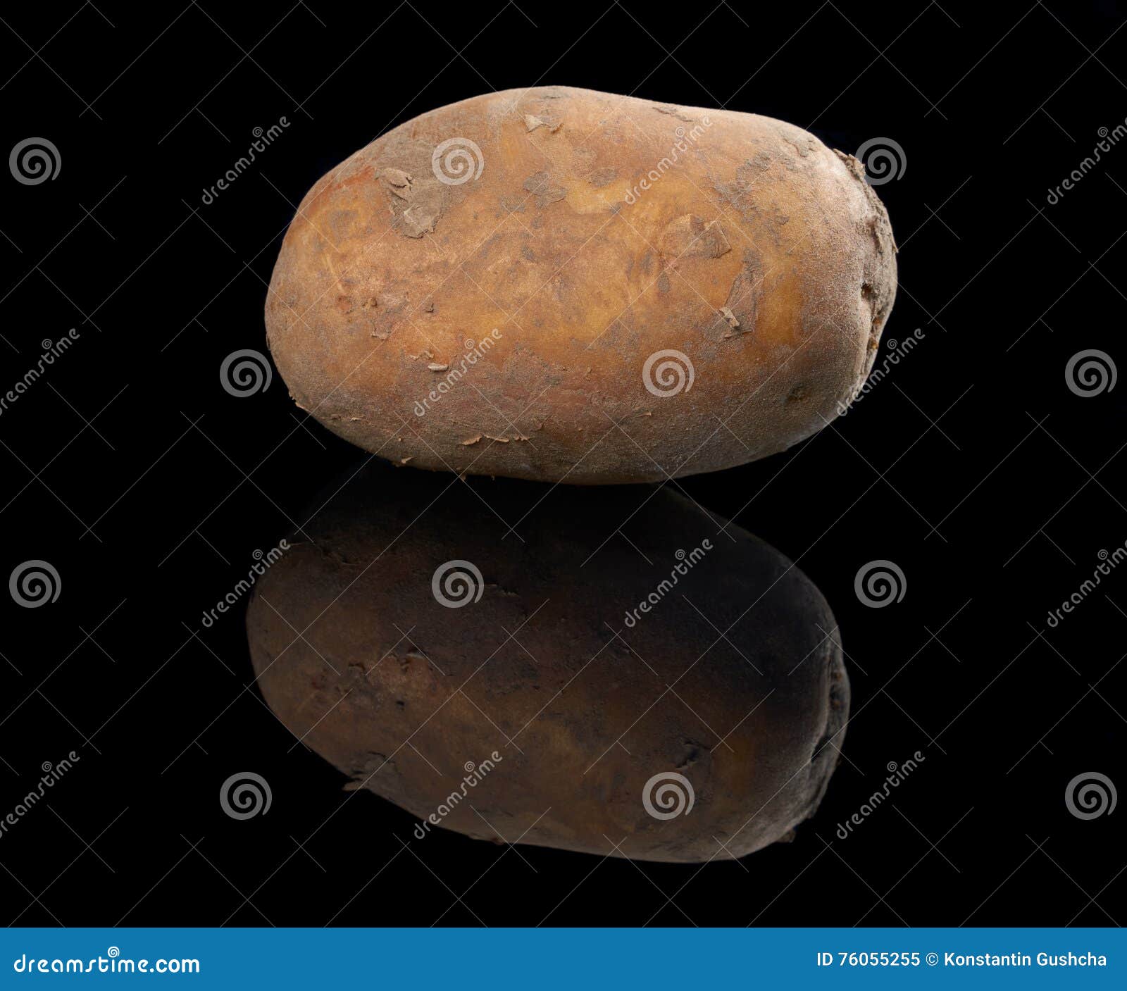 One potato on black stock image. Image of black, harvest - 76055255