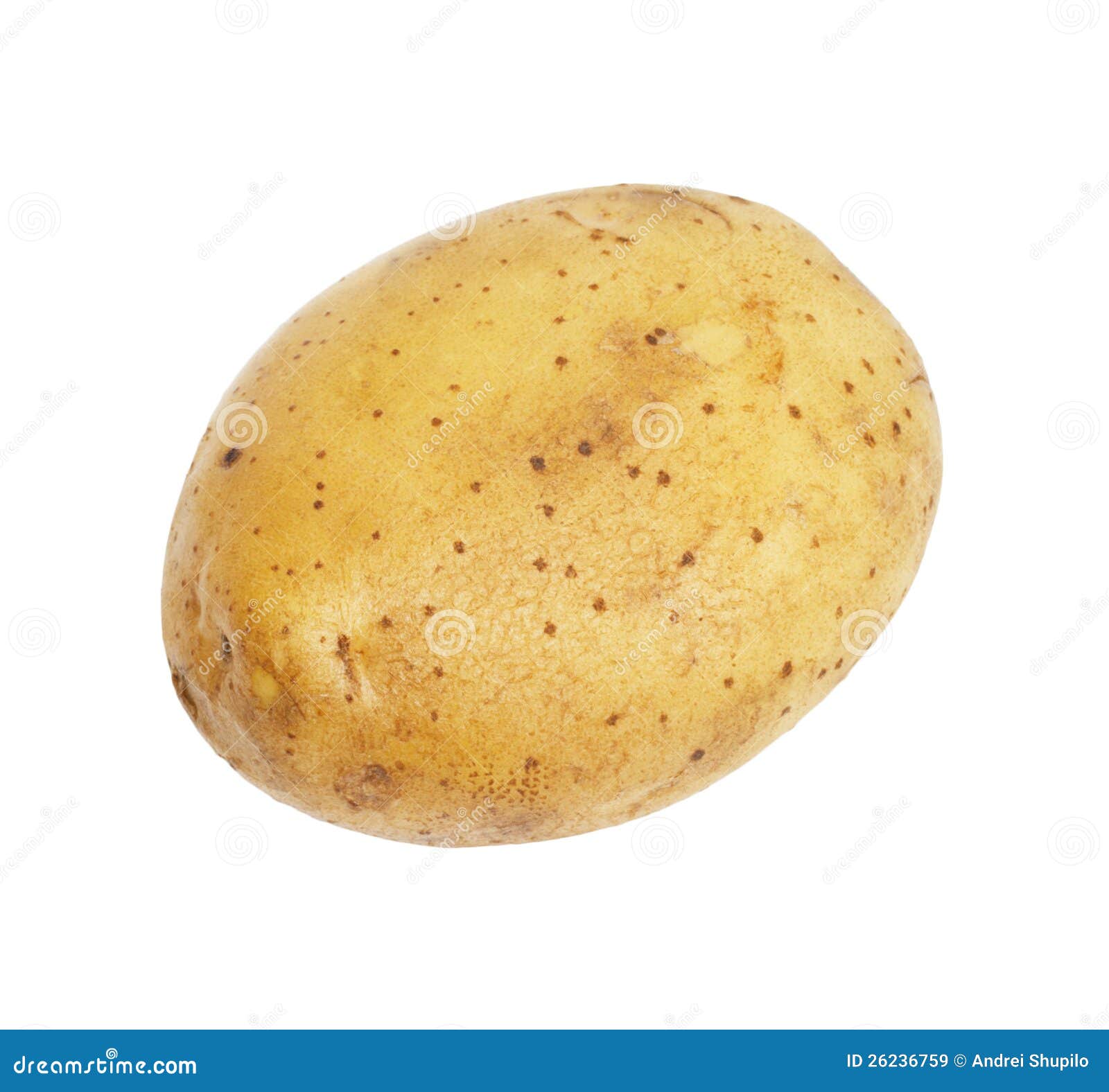 One potato isolated stock image. Image of baked, vegetable - 26236759