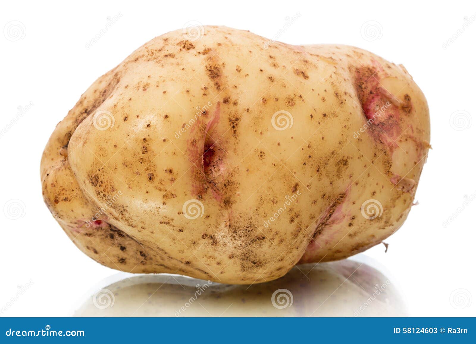 One potato tuber stock image. Image of russet, people - 58124603