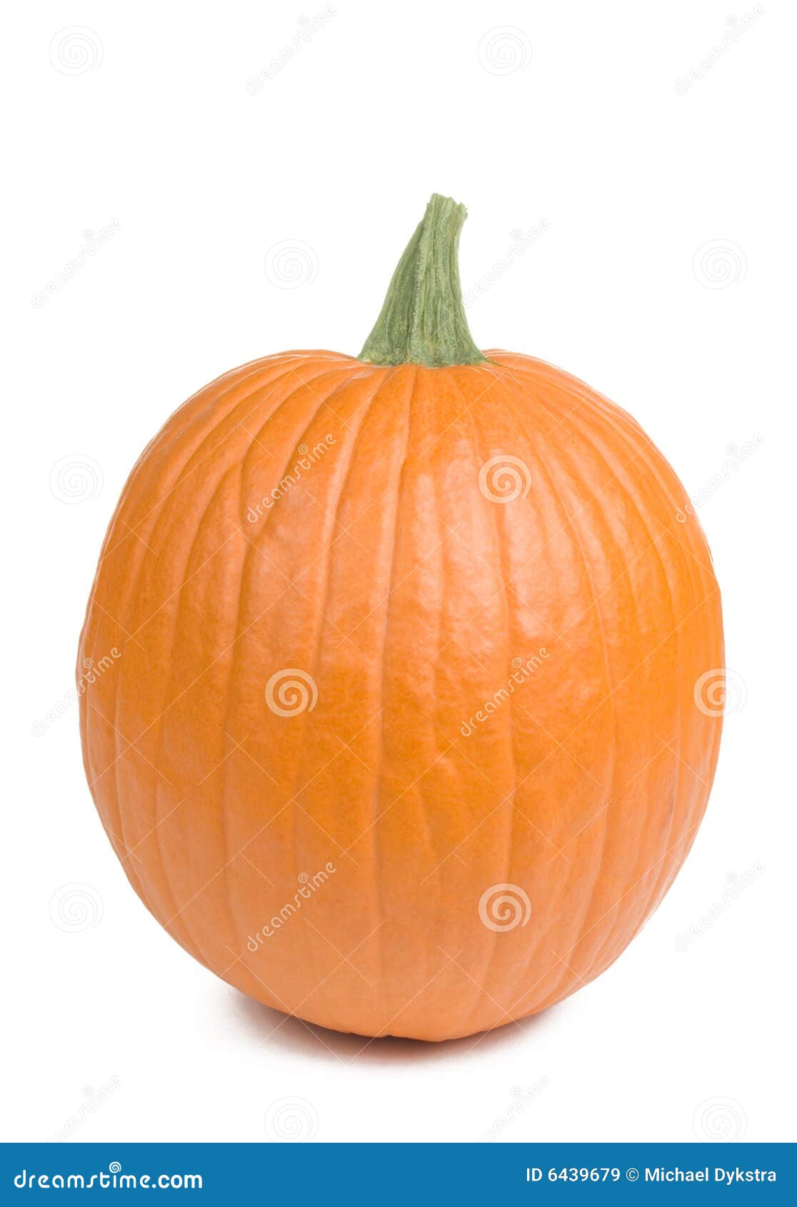 One Pumpkin stock image. Image of halloween, trick, happy - 6439679