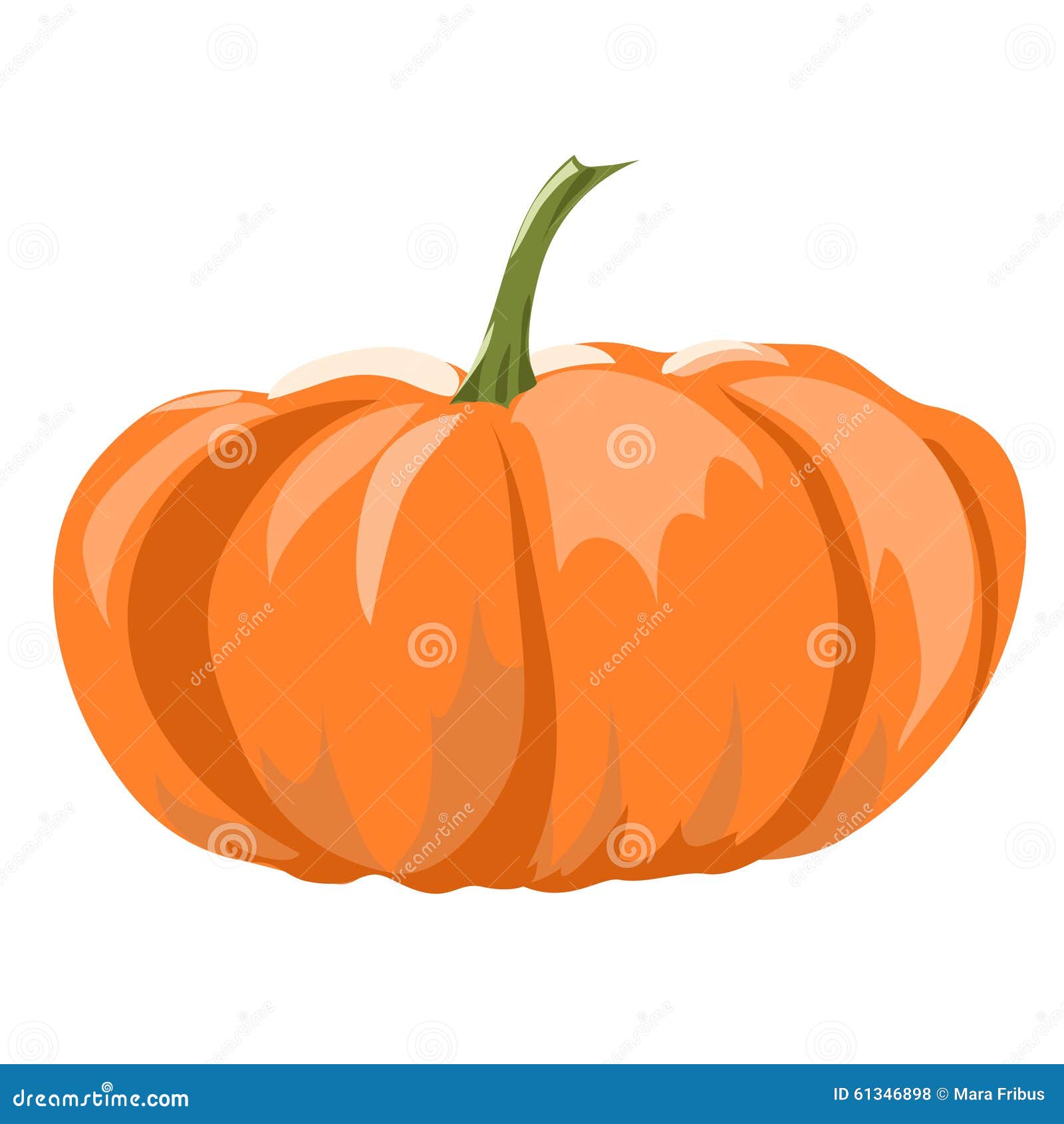 One pumpkin over white stock vector. Illustration of fall - 61346898