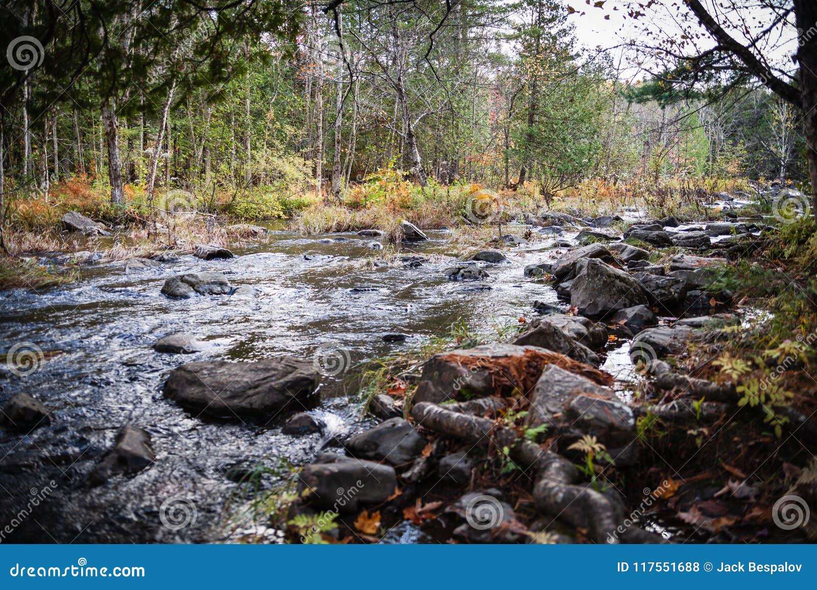 One of the Quebec rivers stock photo. Image of mysticalnature - 117551688