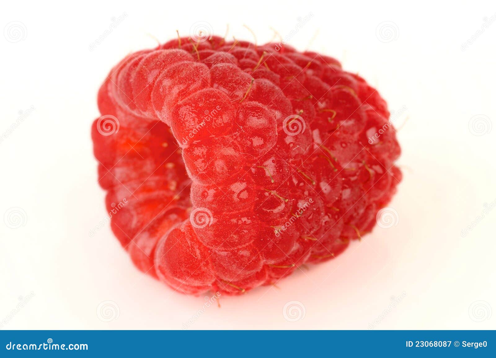 One Raspberry stock image. Image of antioxidant, color - 23068087