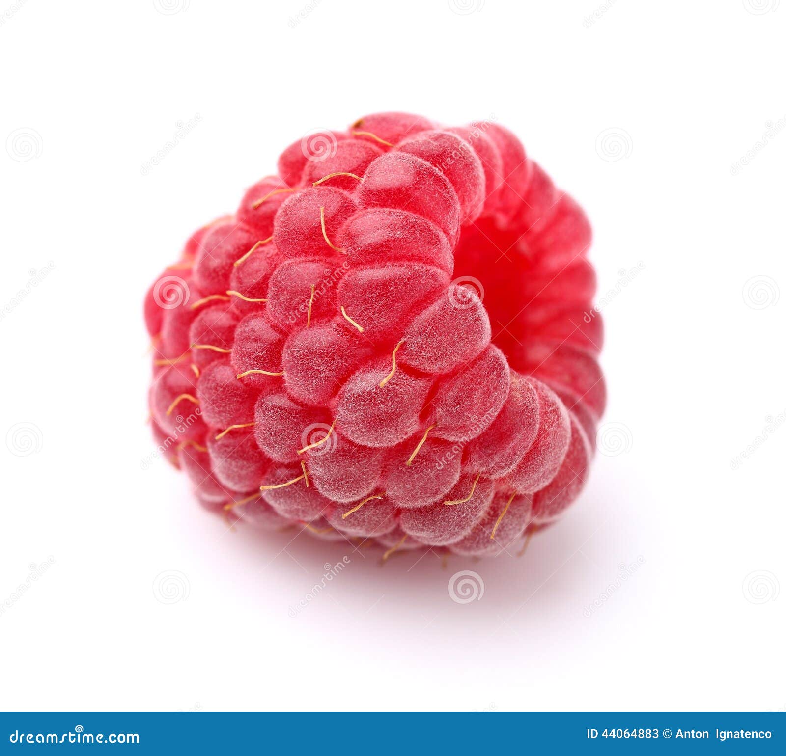 One Raspberry