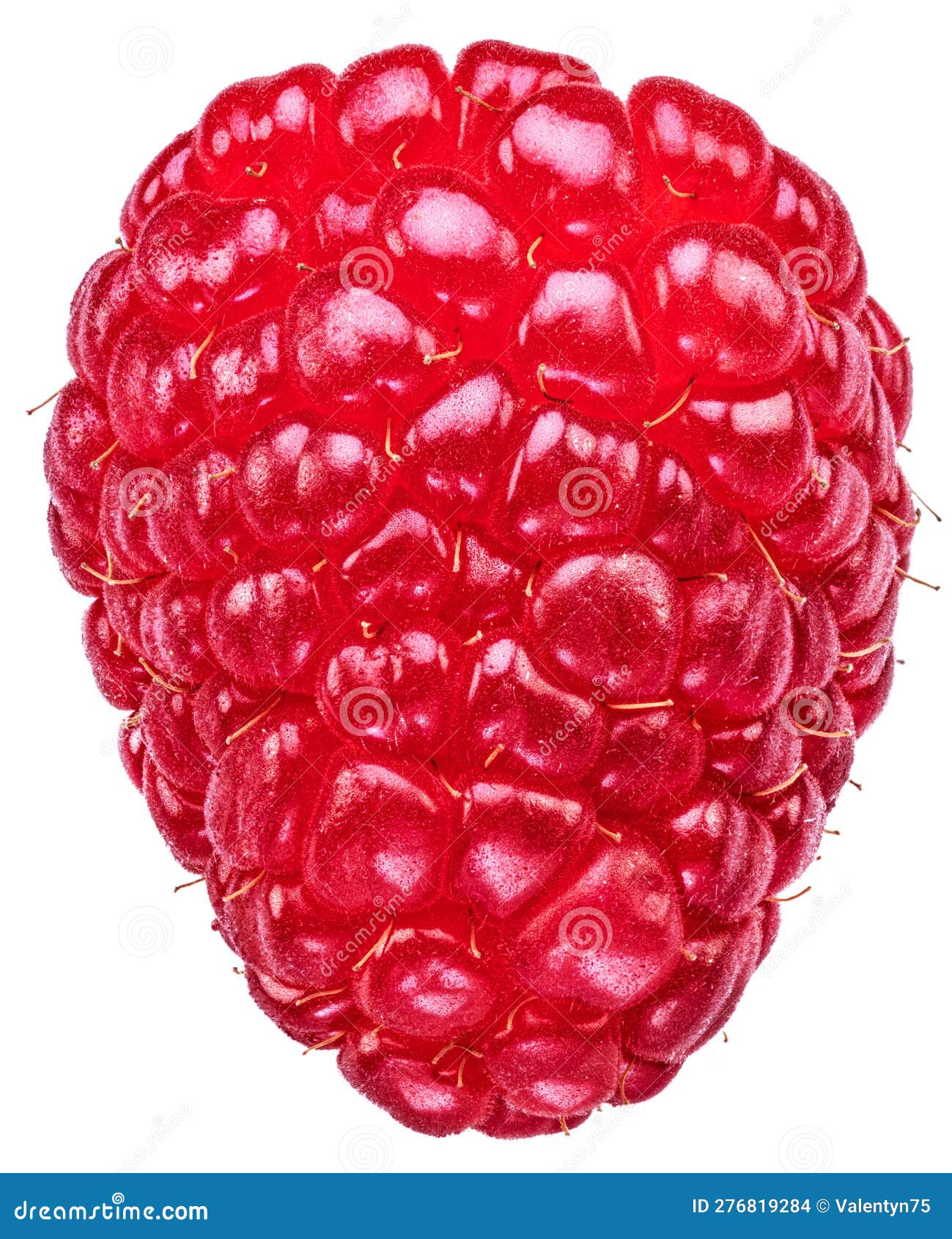 One Raspberry Fruit Isolated on White Background Stock Photo - Image of ...