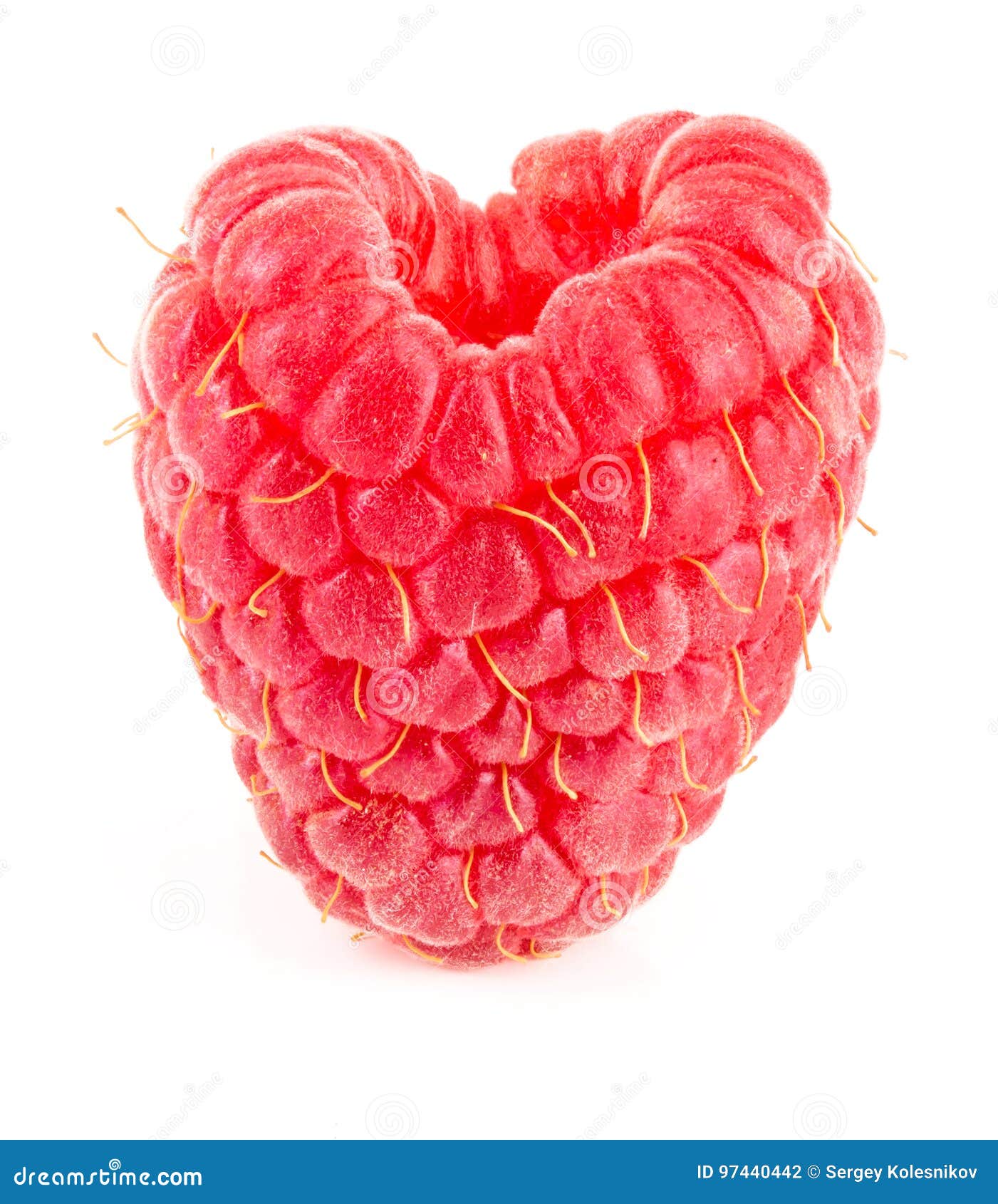 One Raspberry Isolated on White Background Macro Stock Photo - Image of ...