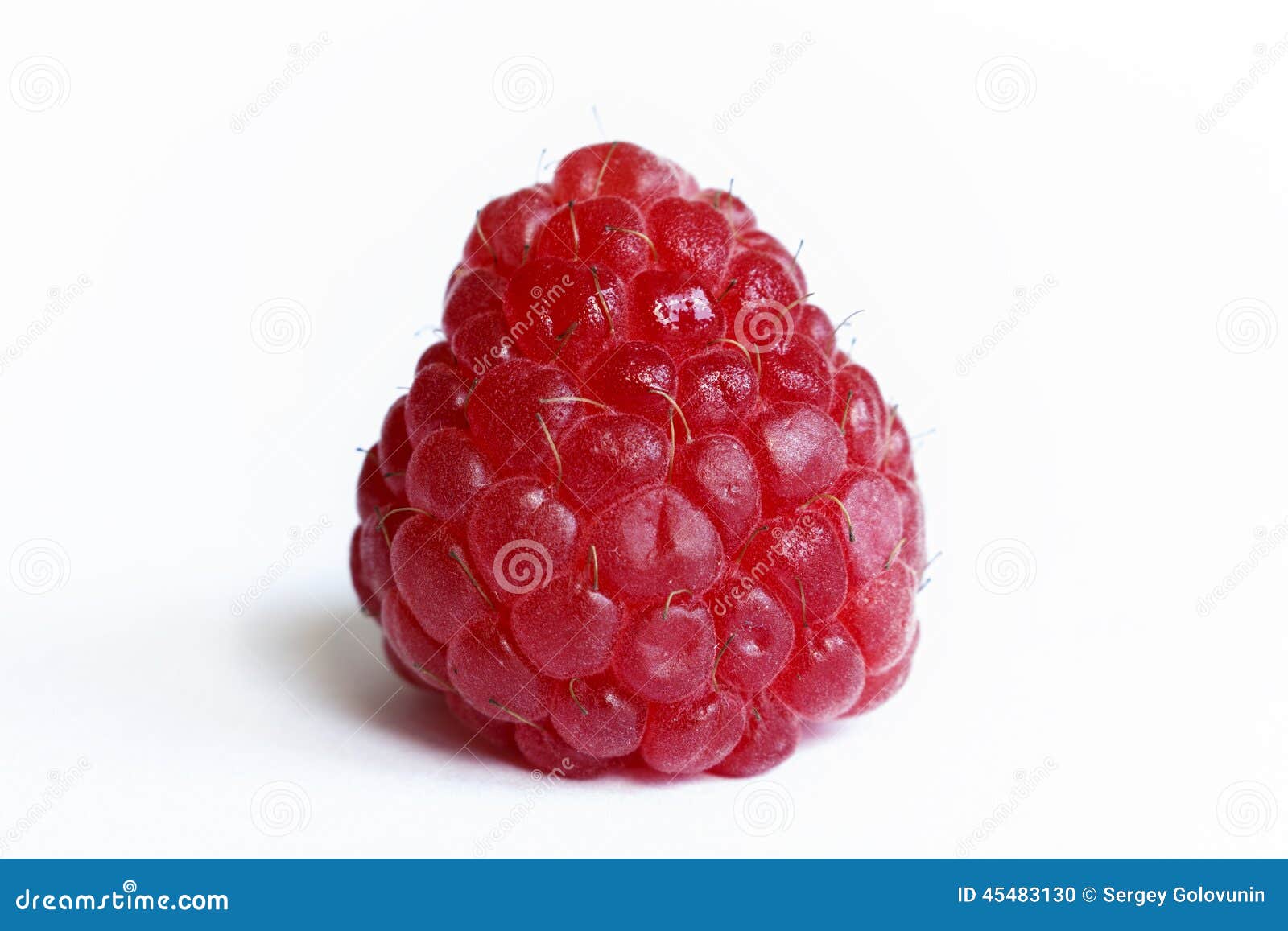 One raspberry stock photo. Image of ingredient, meal - 45483130
