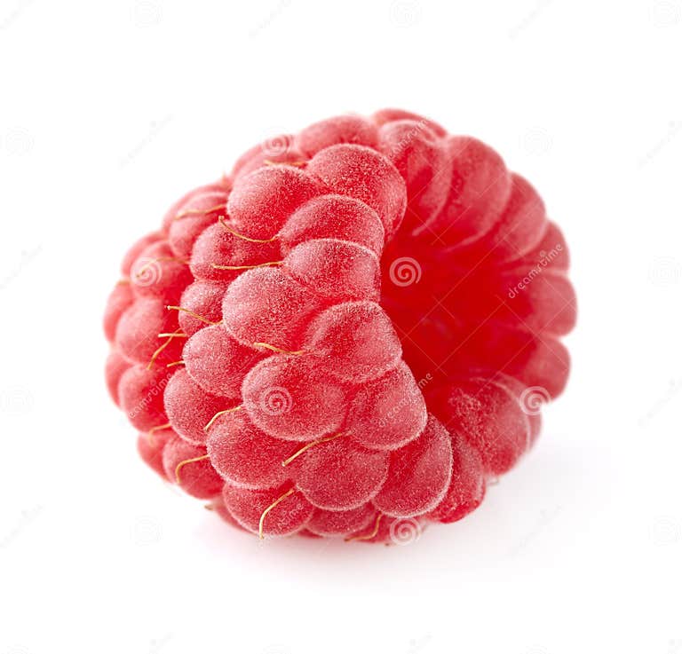 One raspberry stock photo. Image of macro, juicy, drink - 58569810