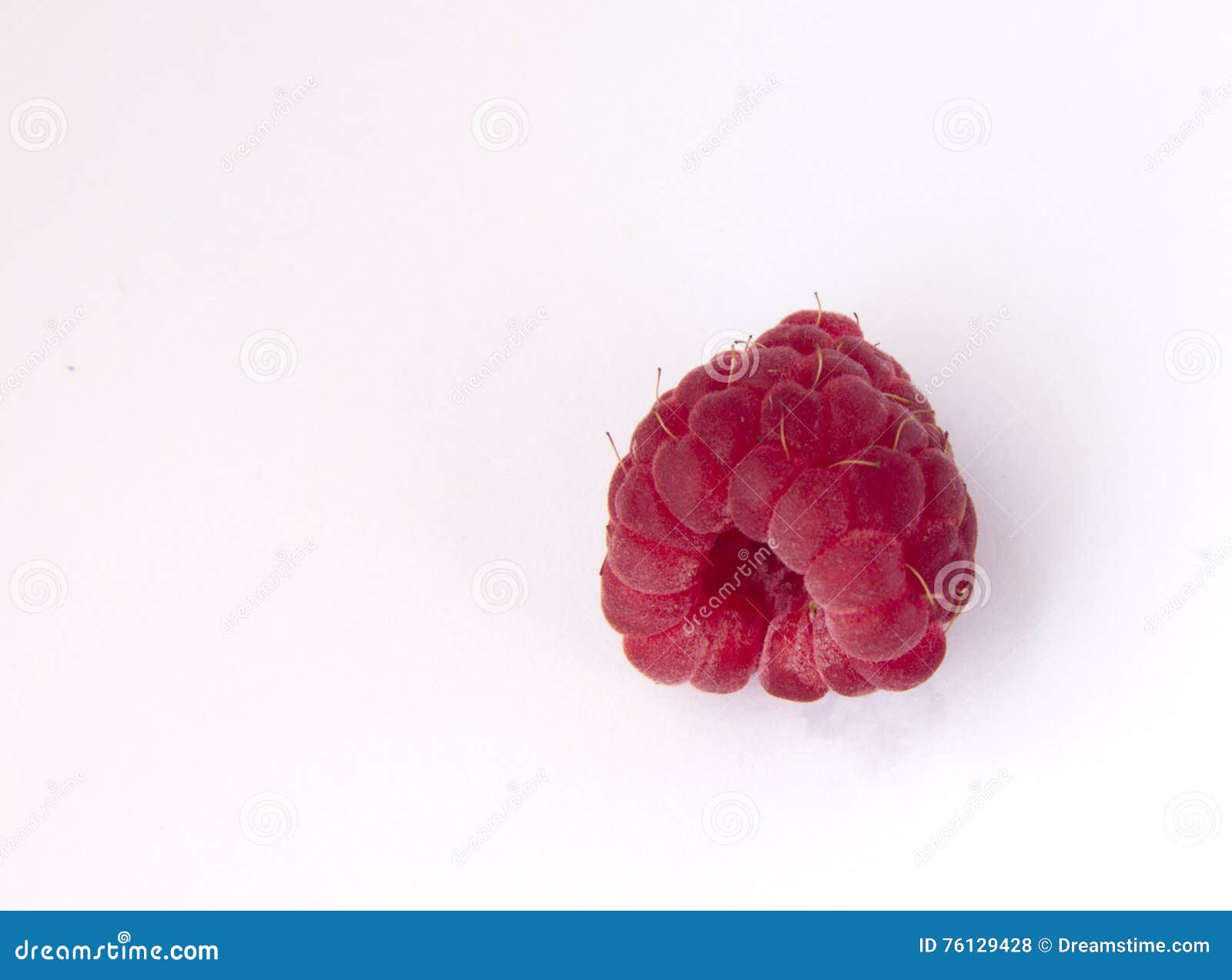 One Raspberry on the White Background Stock Photo - Image of vitamin ...