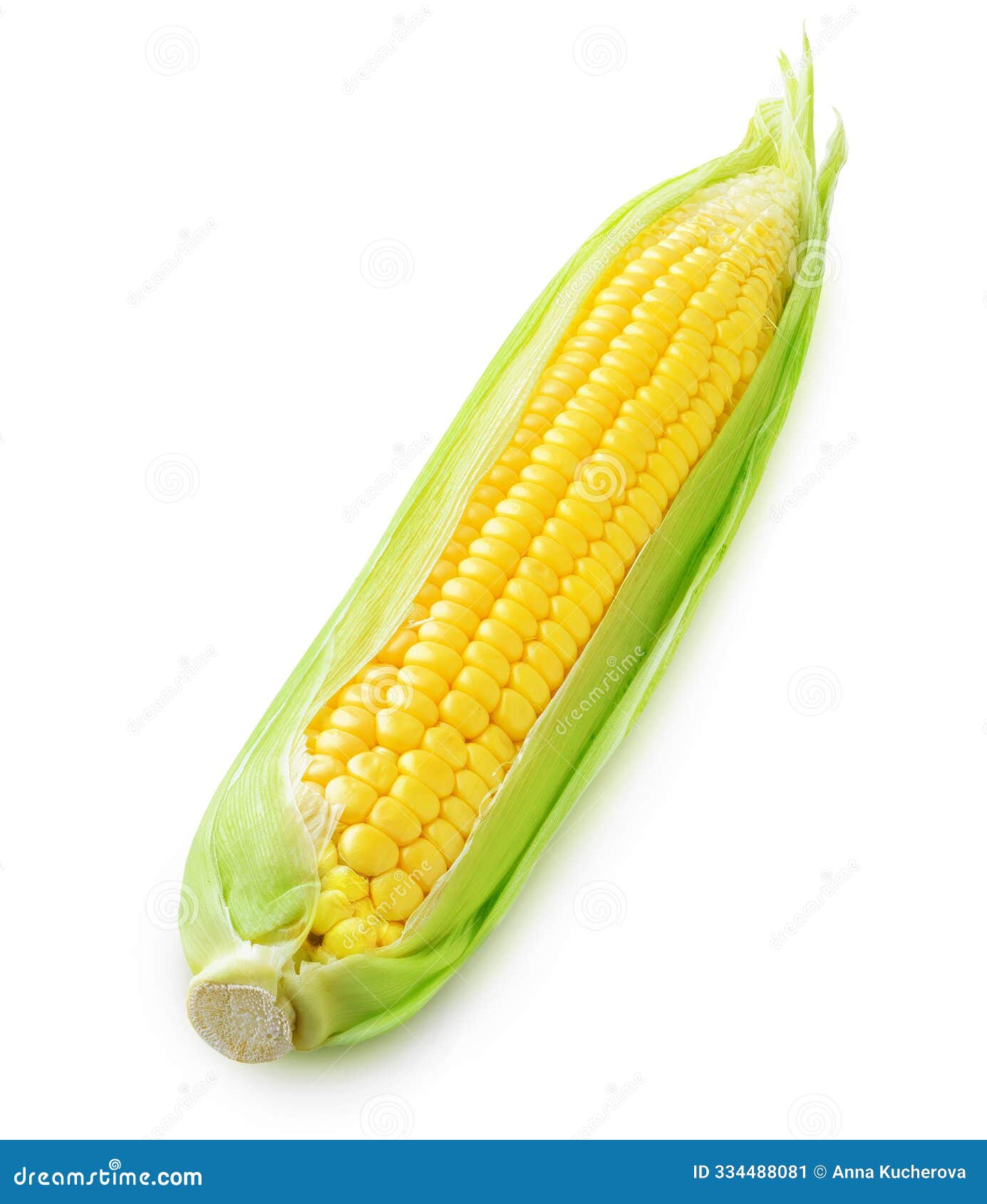 One Raw Corn Cob Isolated on White Stock Image - Image of husk, yellow ...