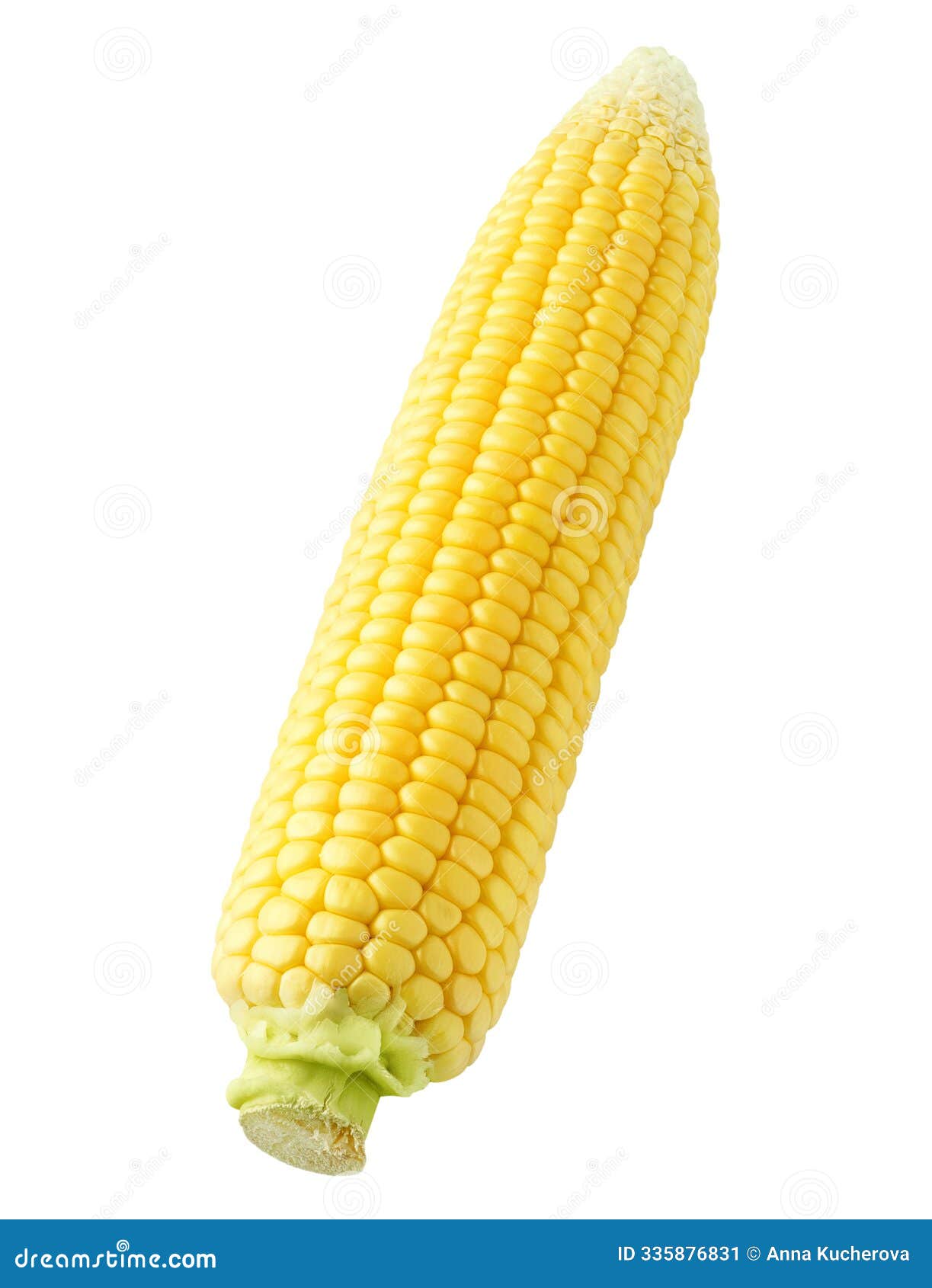 One Raw Peeled Corn Cob Isolated on White Stock Image - Image of maize ...