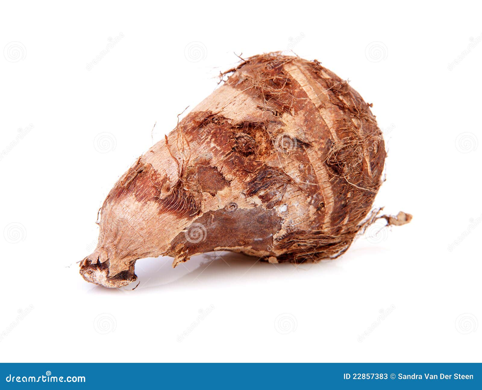 Taro Is A Root Vegetable Common In Many Asian, Eastern, Pacific, And ...