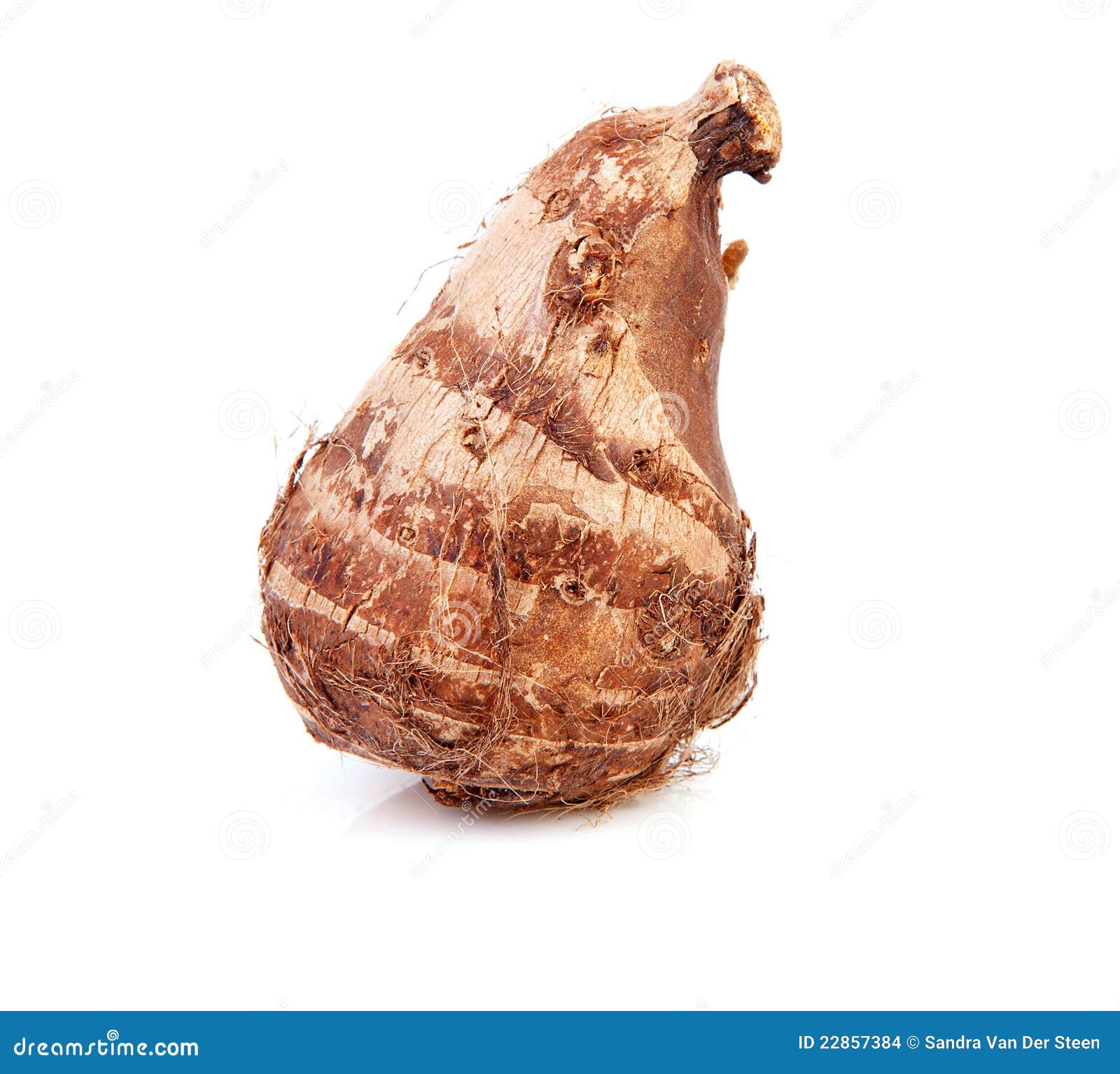 Taro Is A Root Vegetable Common In Many Asian, Eastern, Pacific, And ...