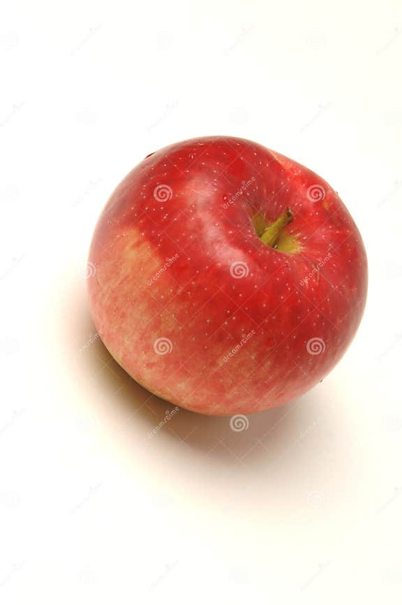One red apple stock photo. Image of seasonal, fast, thanksgiving - 222880
