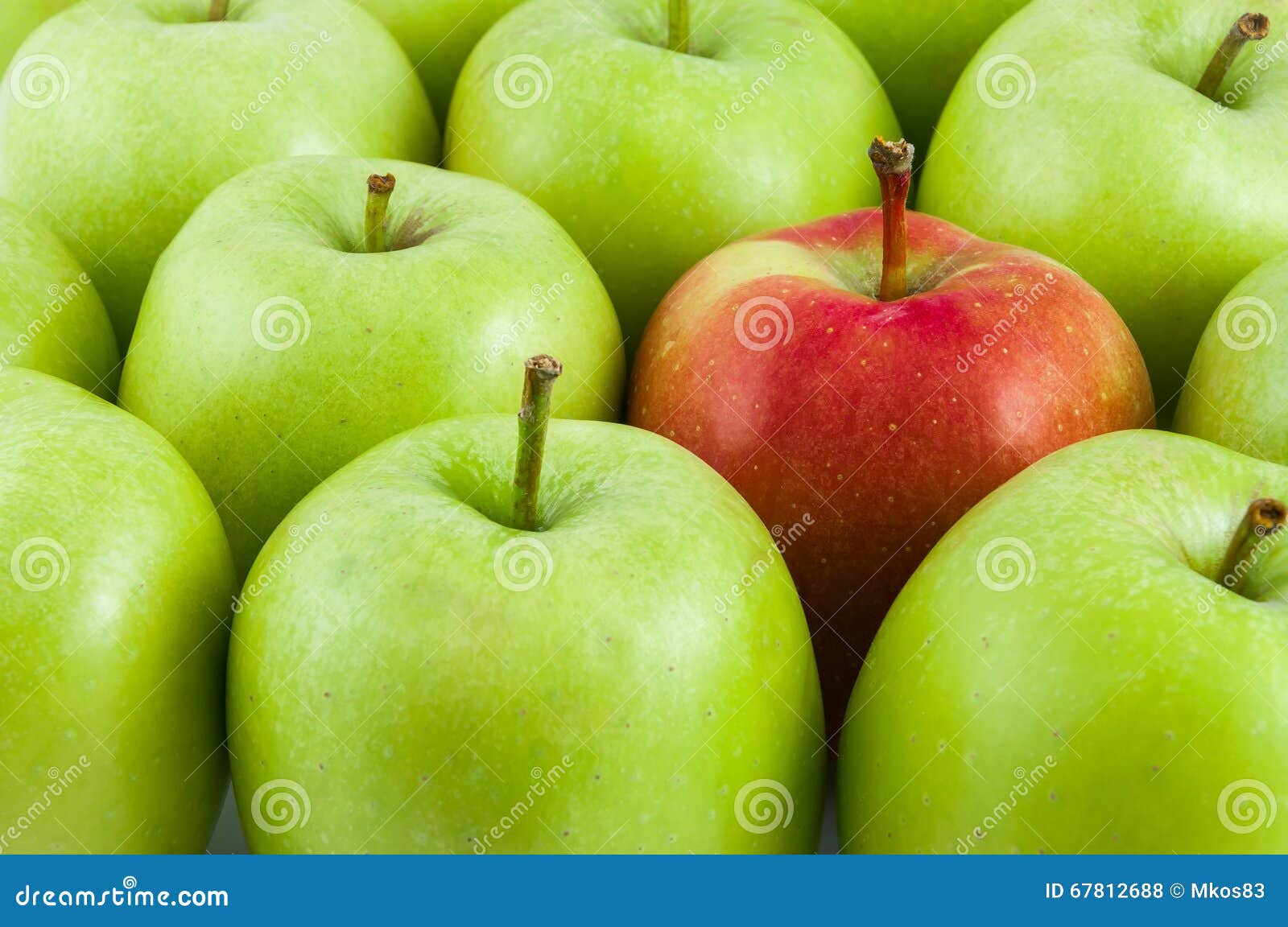 One Red Apple among Green Apples Stock Photo - Image of single, alone ...