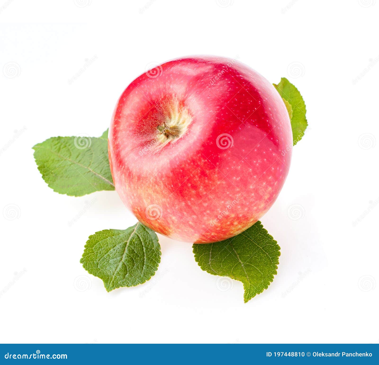 One red apple isolate stock photo. Image of packaging - 197448810