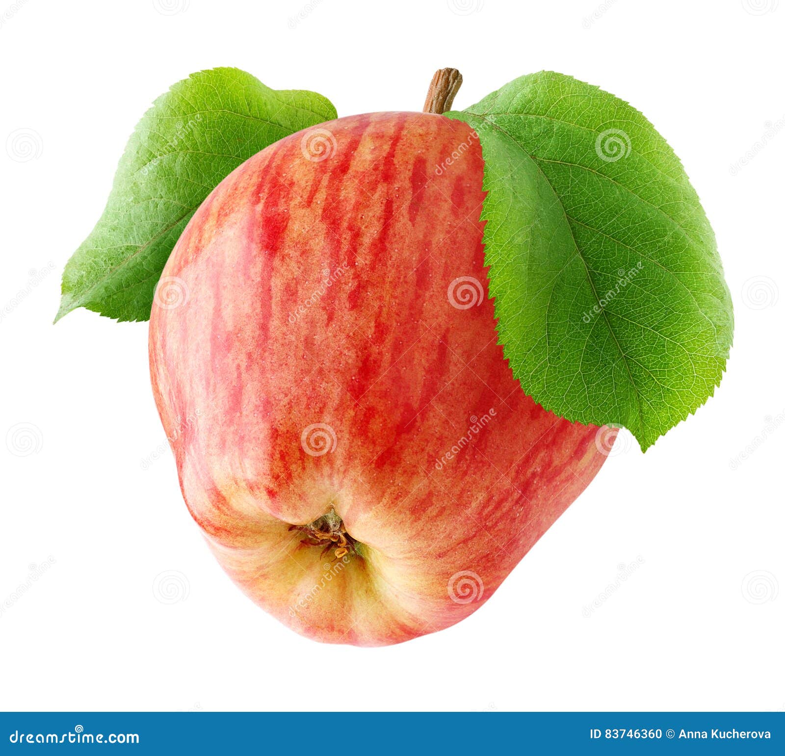 One red apple isolated stock photo. Image of clipping - 83746360