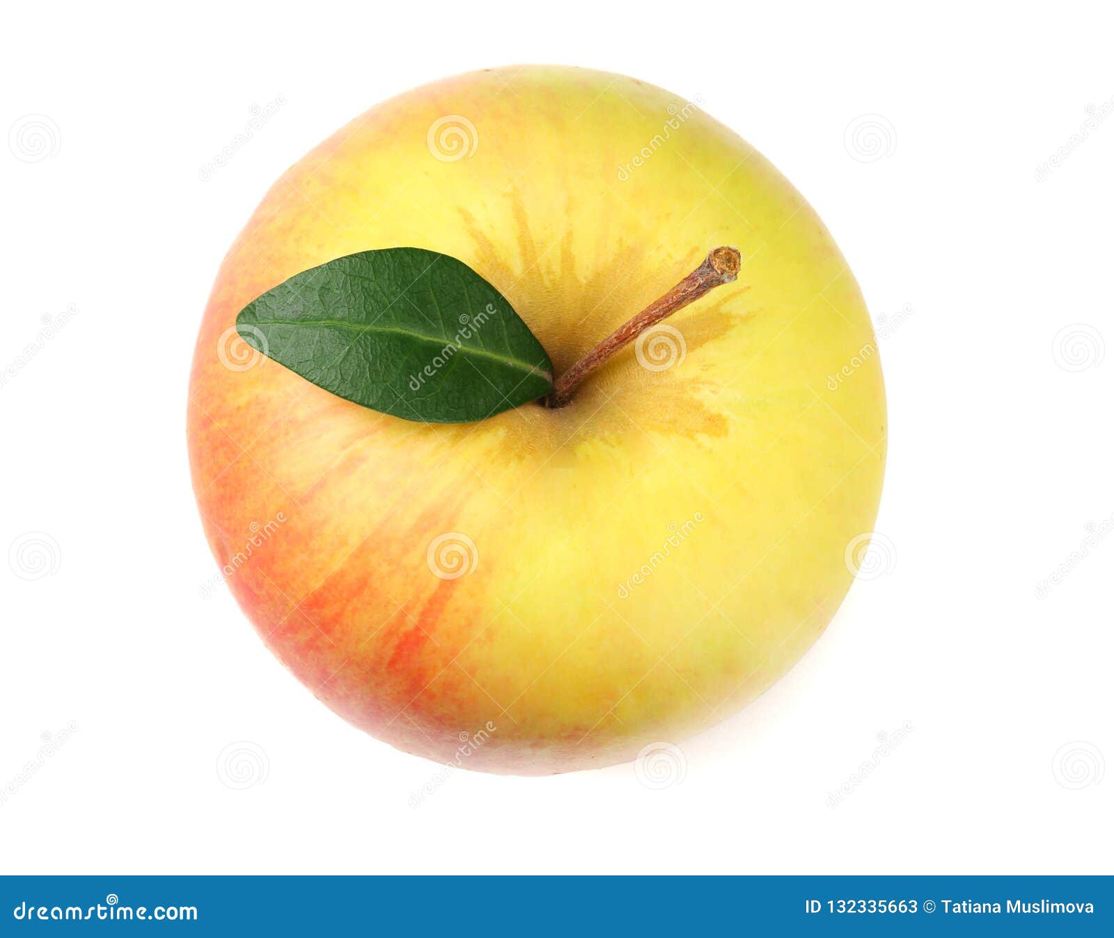 One Red Apple Isolated on White Background. Top View Stock Image ...