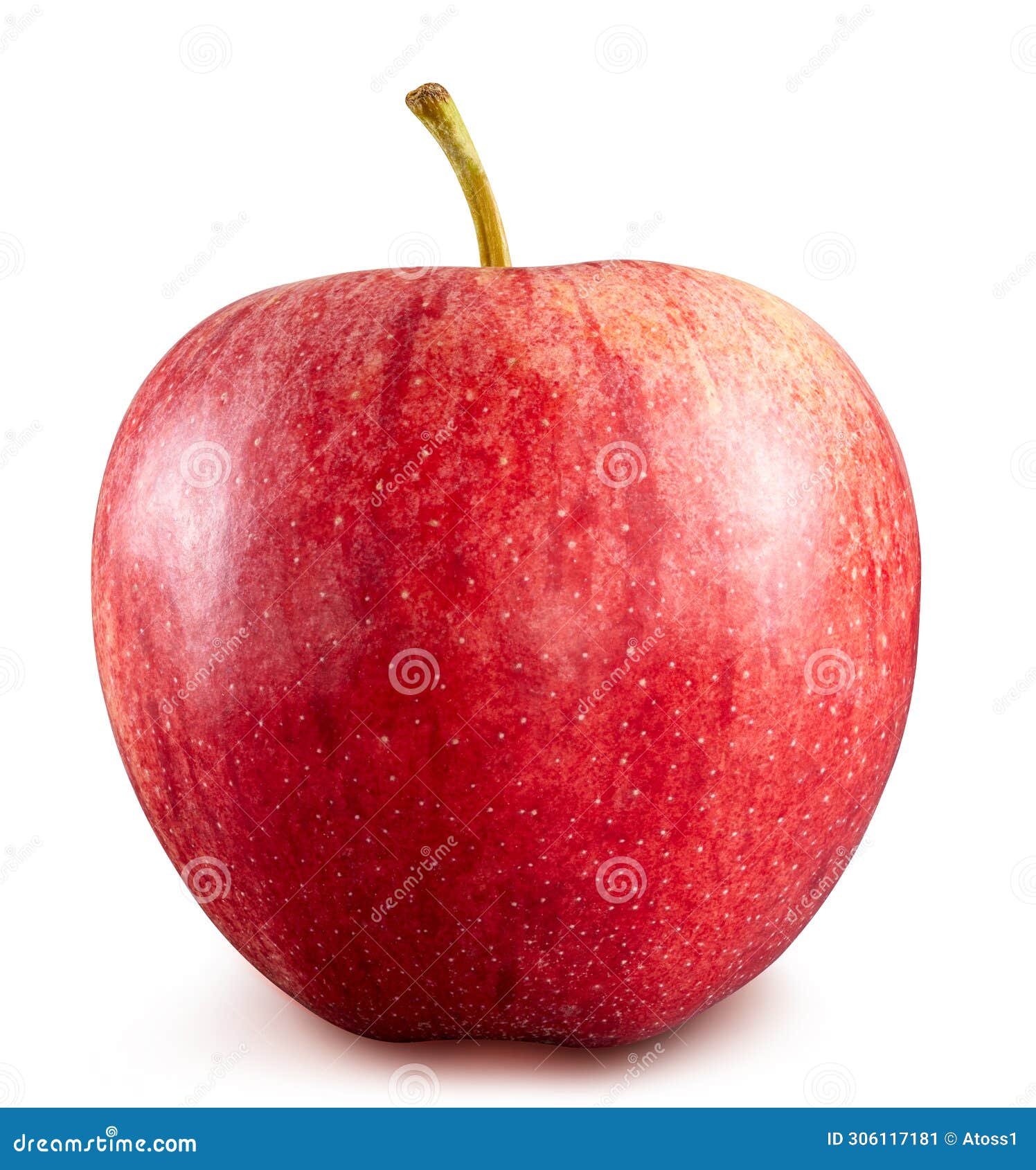 One Red Apple Isolated on White Stock Illustration - Illustration of ...