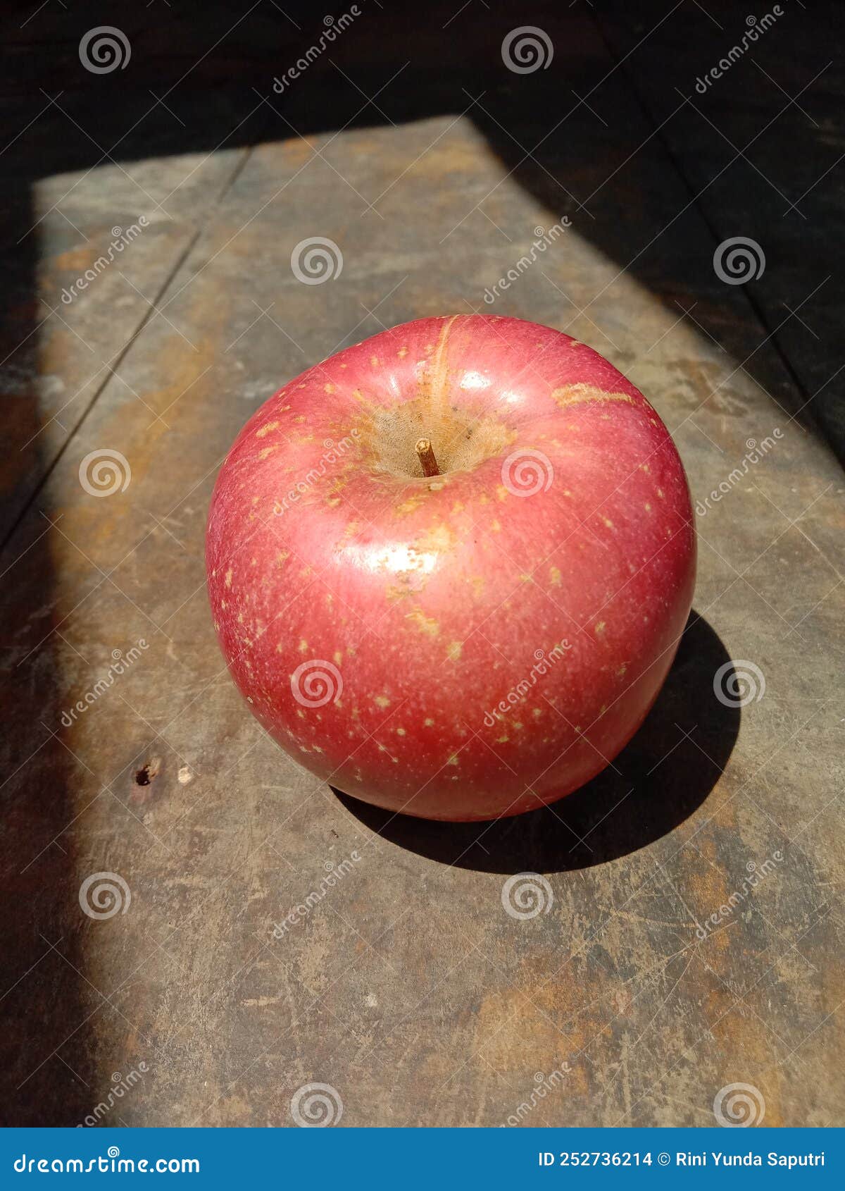 One Red Apple on the Table Taken from the Front Stock Photo - Image of ...