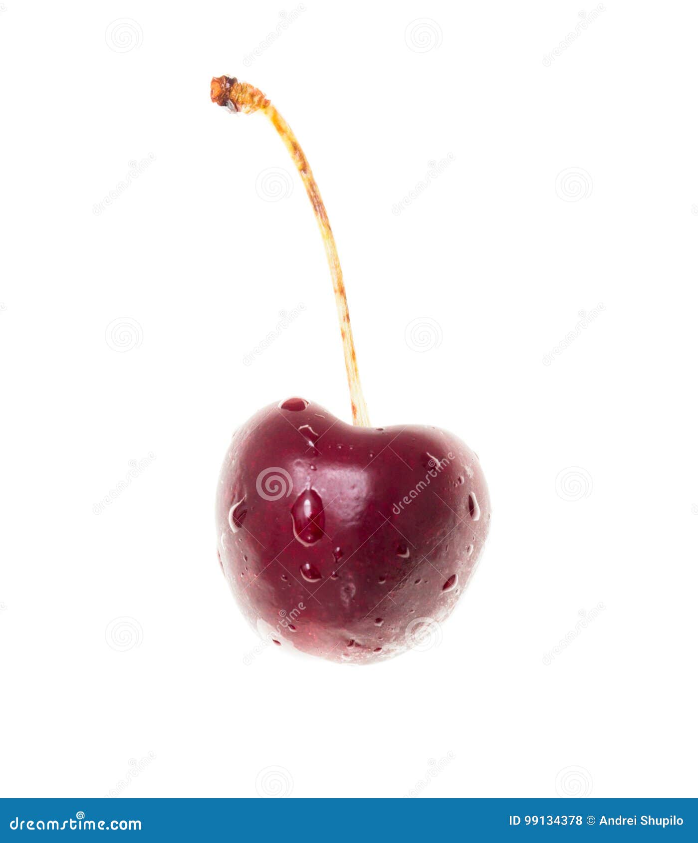 One Cherry on a White Background Stock Photo - Image of dessert, food ...