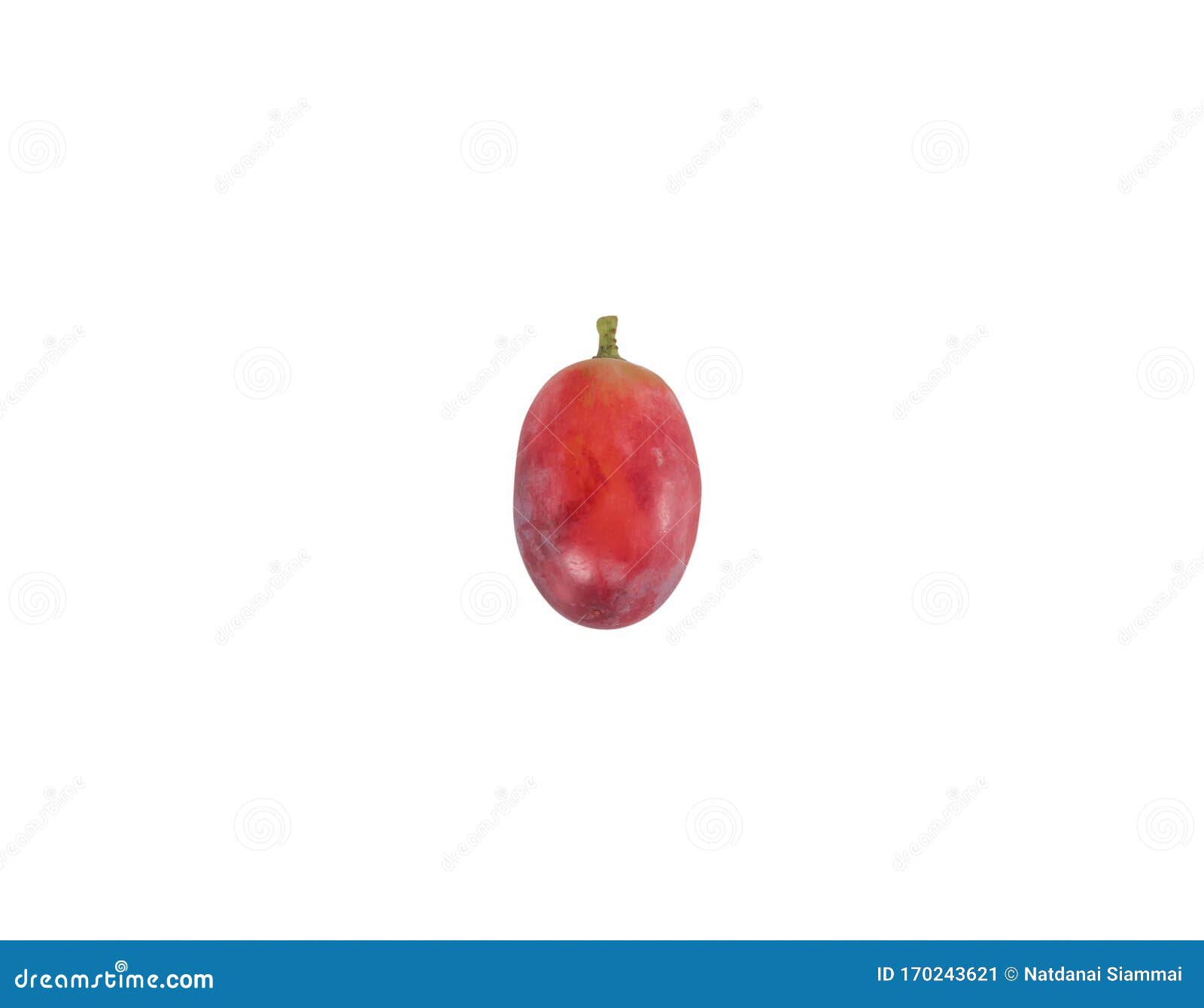 One Red Grape Isolated on White Background with Clipping Path Stock ...