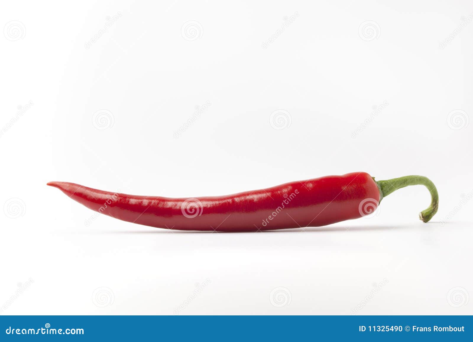 One Red Hot Chili Pepper on White Background Stock Photo - Image of ...