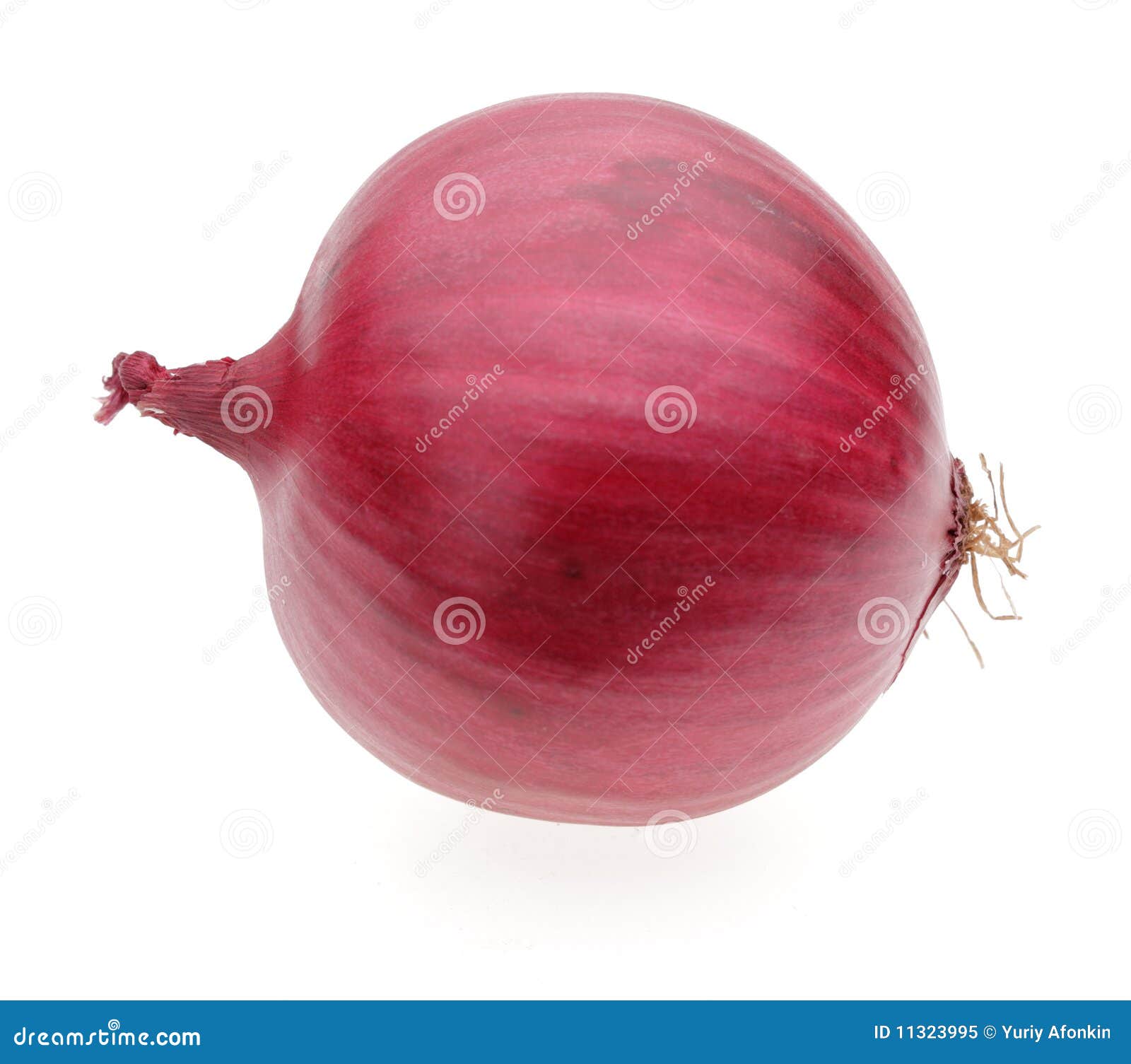 One red onion bulb stock image. Image of culture, salad - 11323995