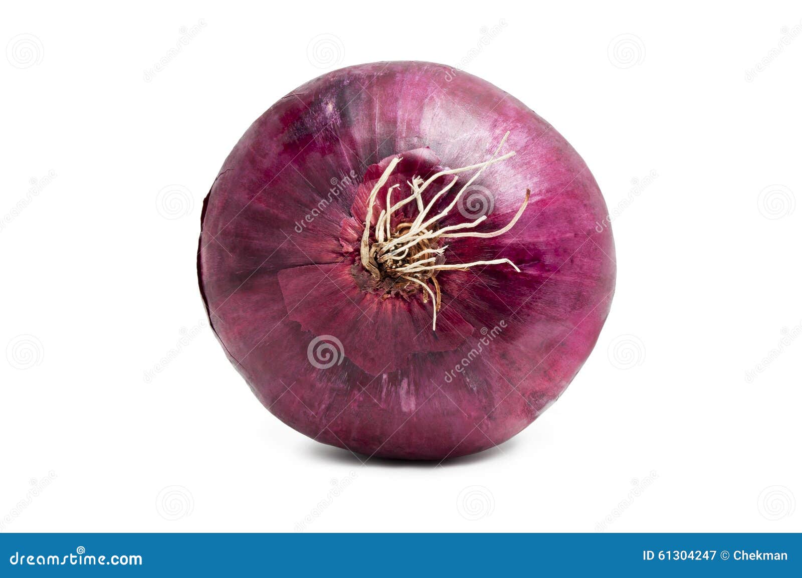 One red onion isolated stock image. Image of sweet, seasoning - 61304247