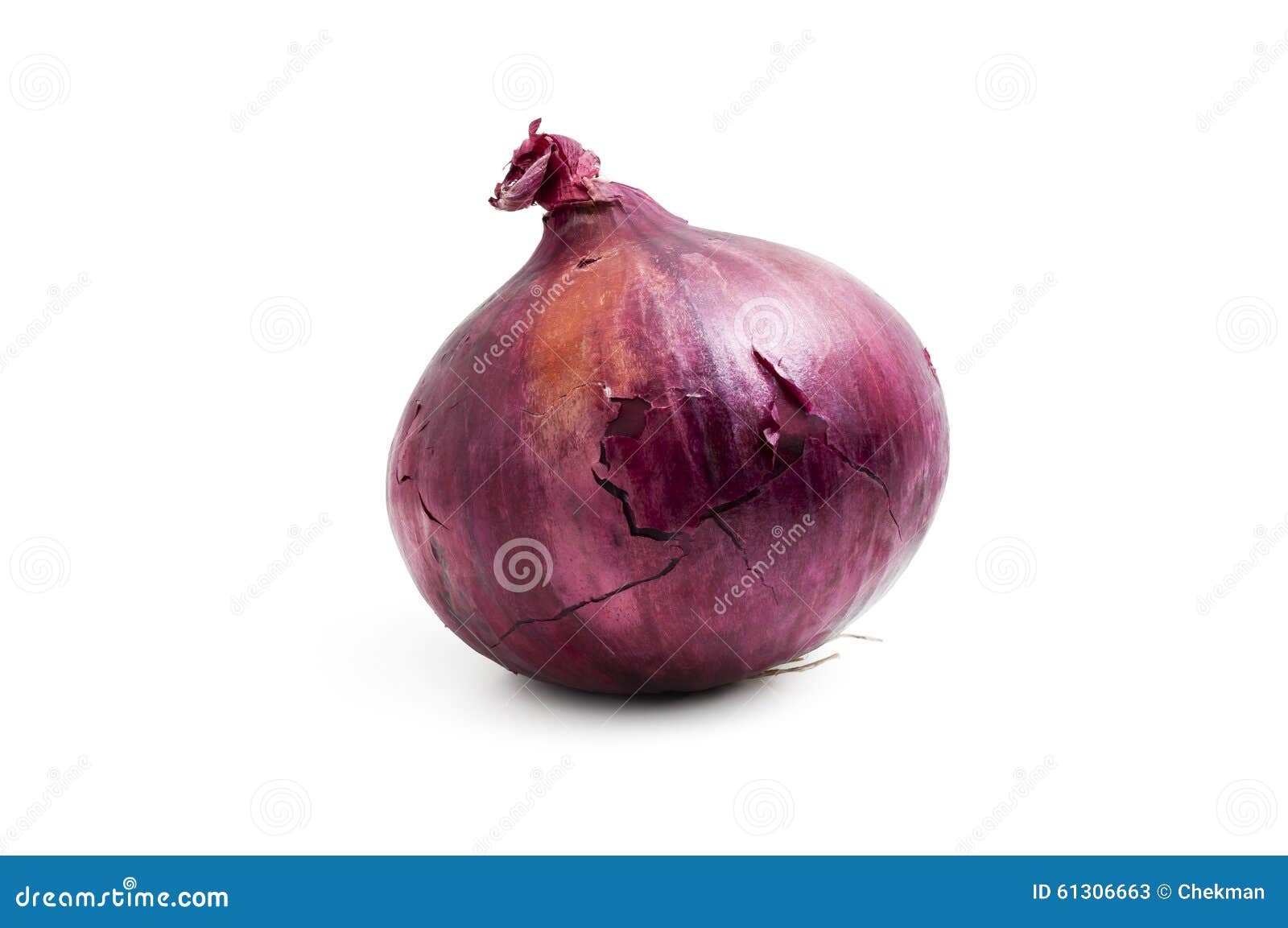 One red onion isolated stock image. Image of harvest - 61306663