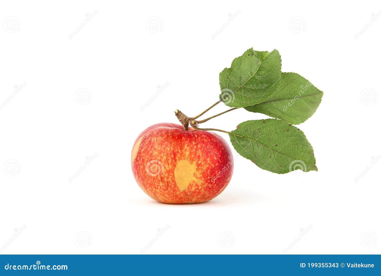 Apple Fruit with Leaves Isolated on White Background. Stock Image ...
