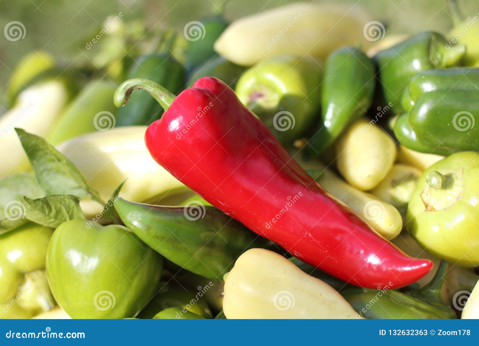 Different from others stock image. Image of diet, organic - 132632363