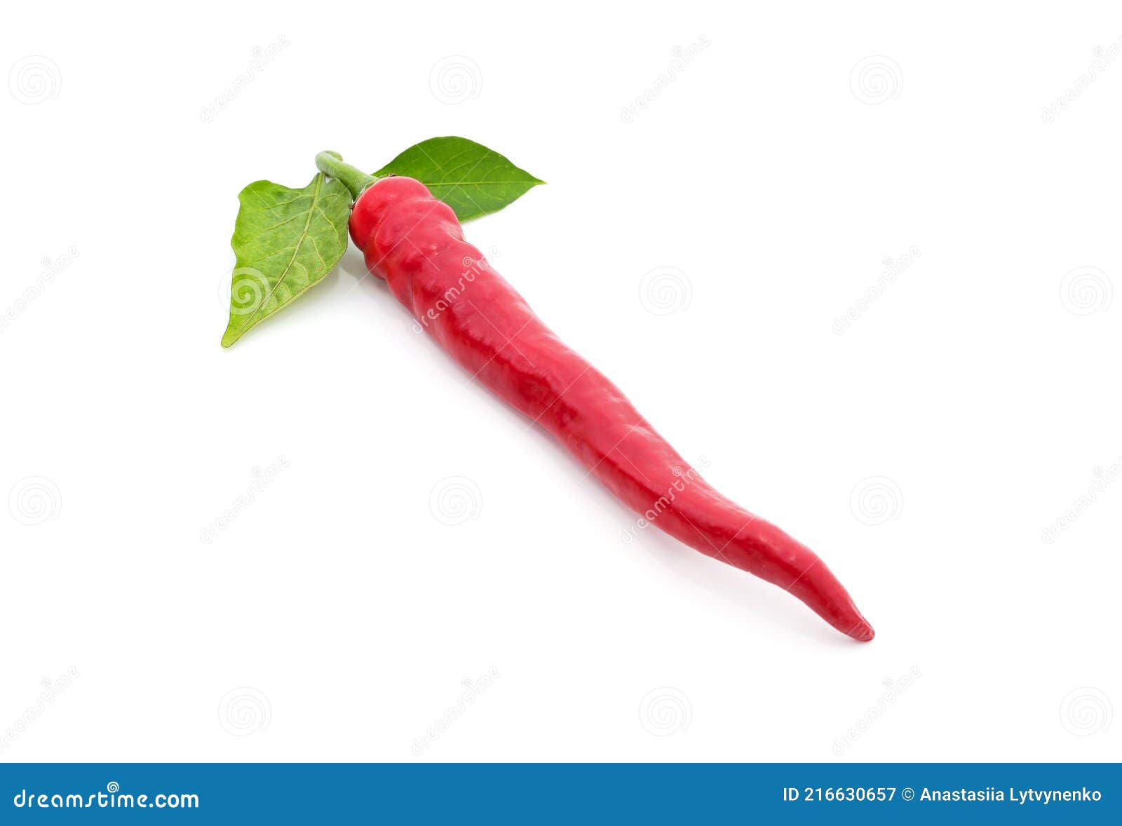 One red pepper stock image. Image of agriculture, pepper - 216630657