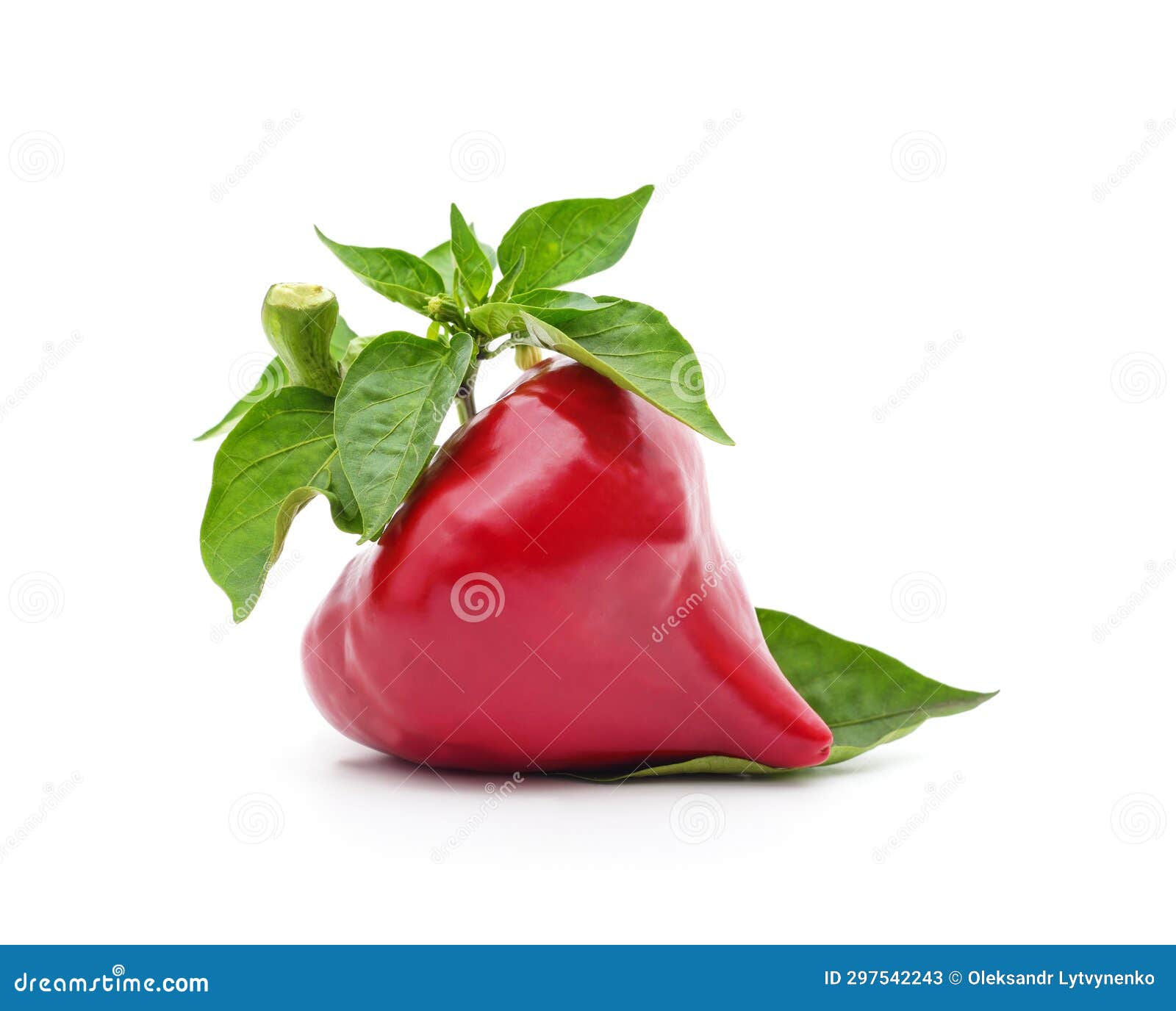 One red pepper stock image. Image of color, fruits, kitchen - 297542243