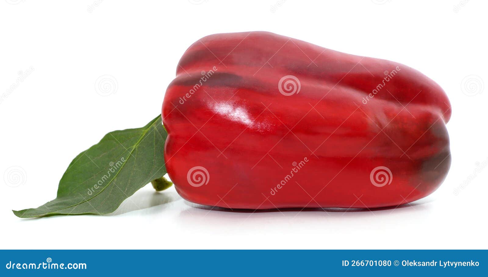 One red pepper with leaves stock photo. Image of natural - 266701080