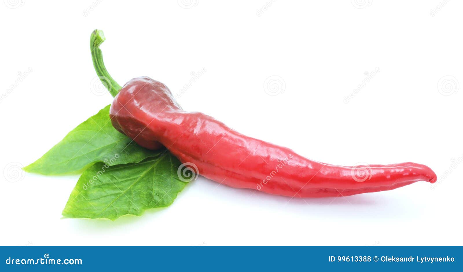 One red pepper. stock photo. Image of food, white, agriculture - 99613388