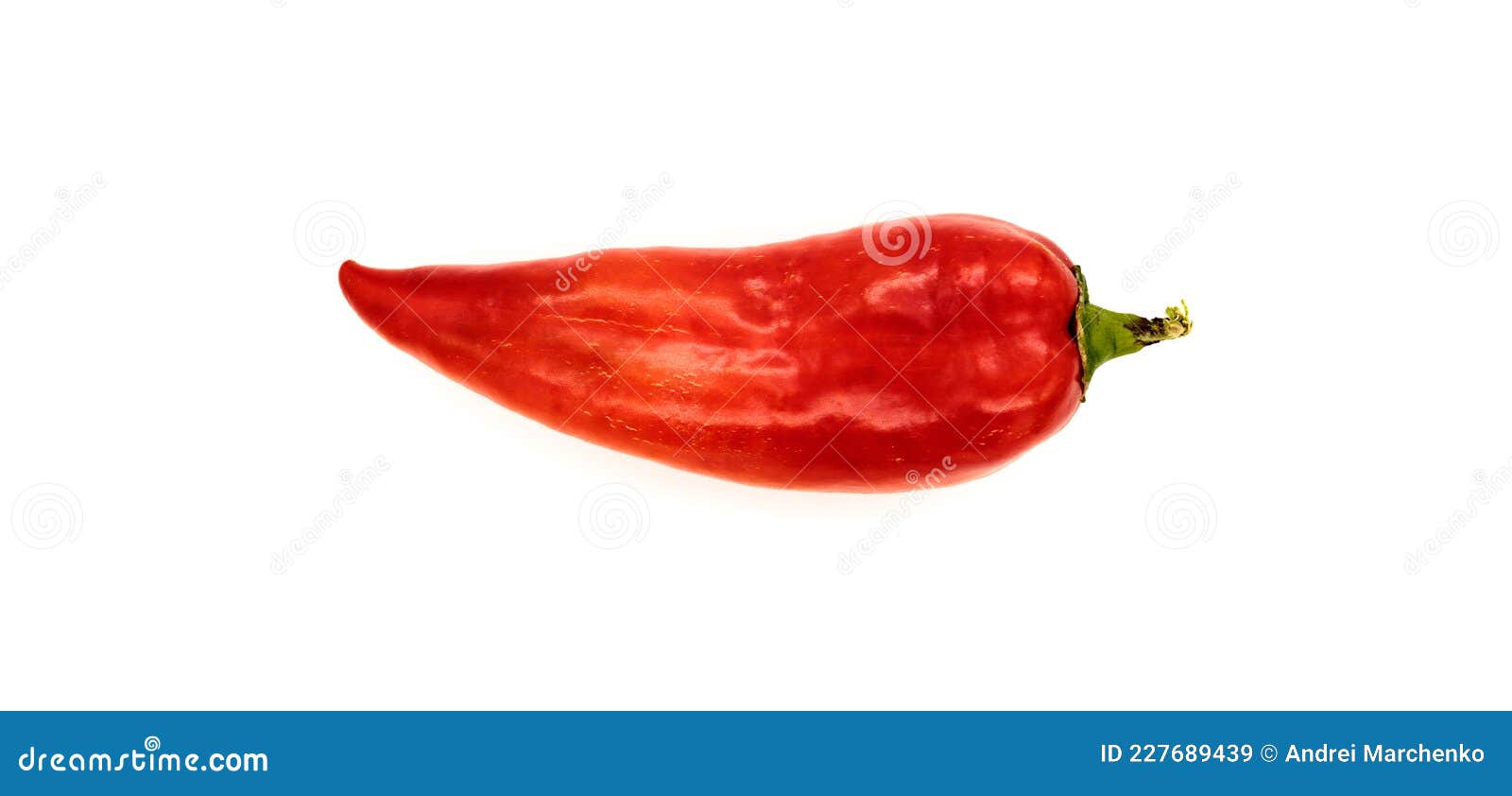 One Red Pepper on a White Background Close-up, Isolate Stock Image ...