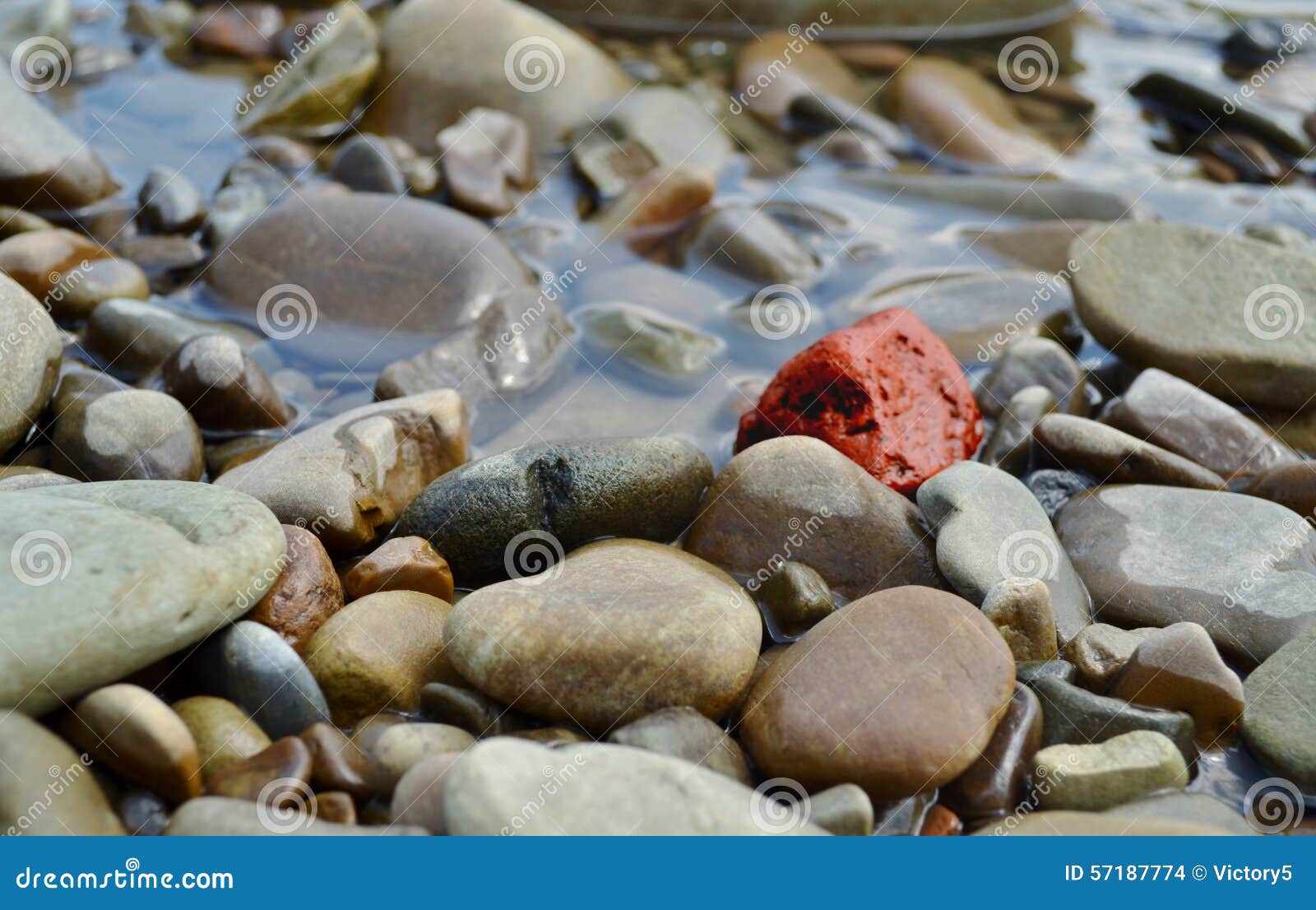 One Red River Stone among Big Amount of Grey River Stones Stock Photo ...